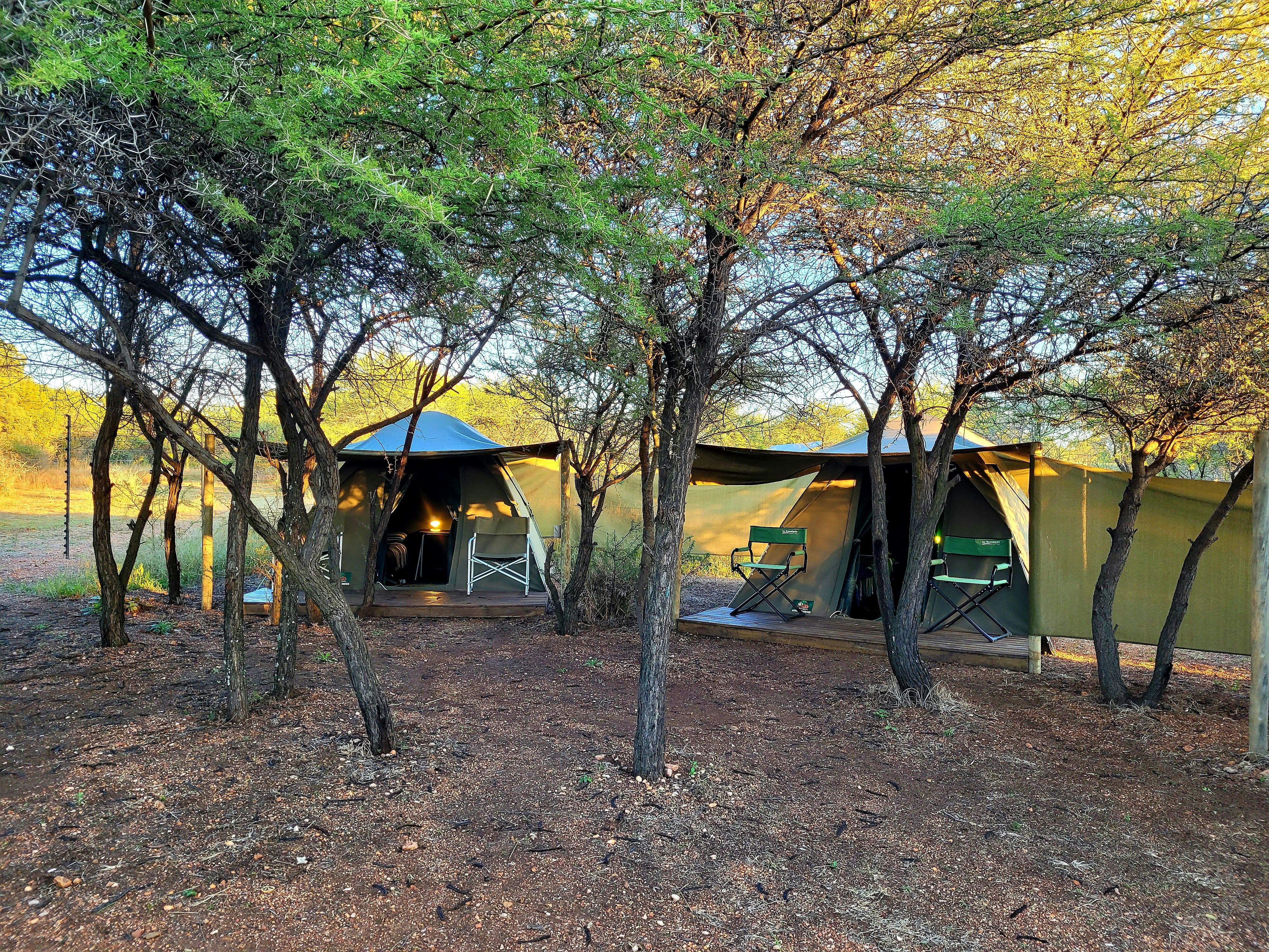 Thorn Tree Bush Camp - Tented Camps and Campsites | Rooms