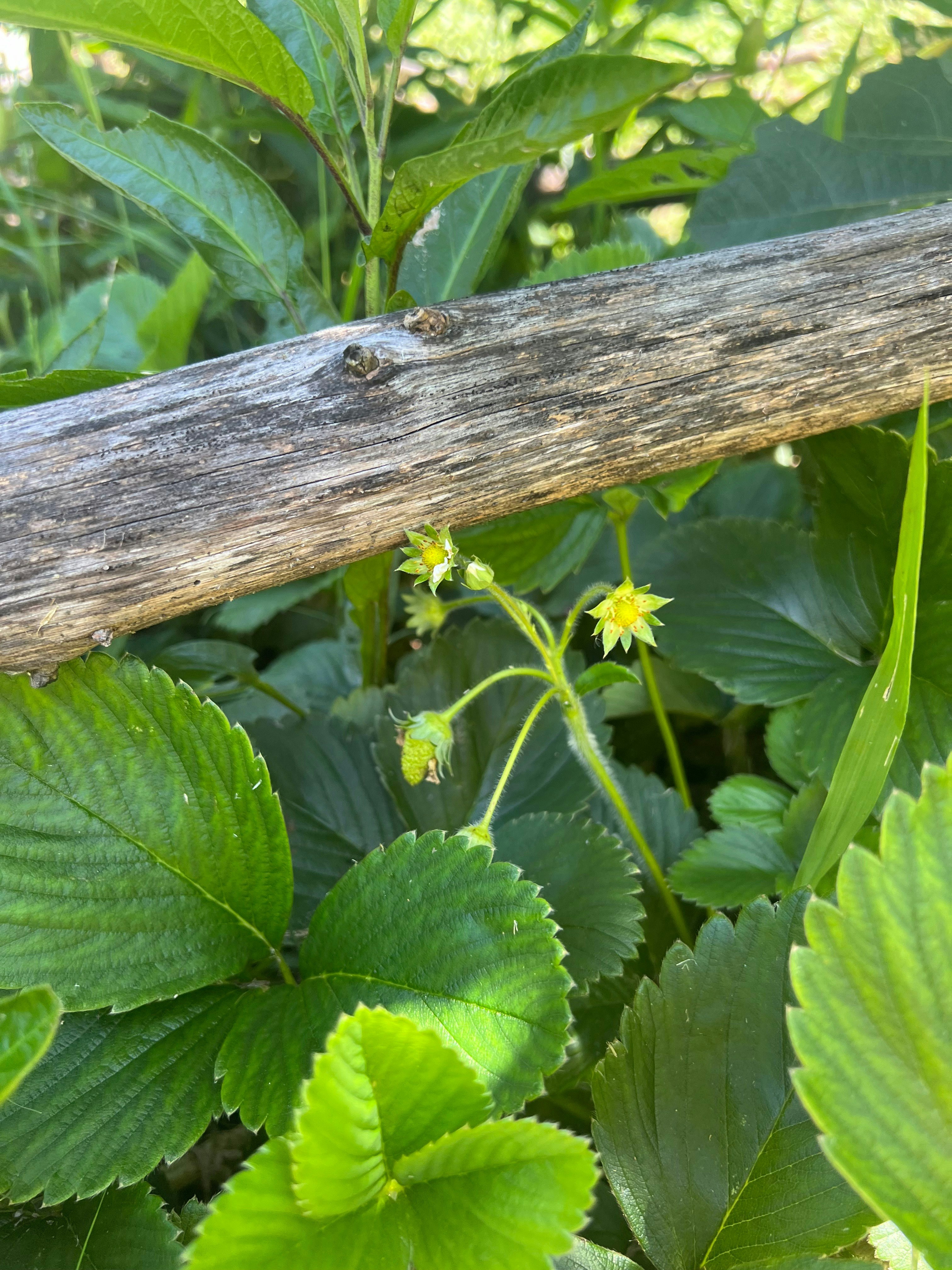 Kromrivier Farm Dam Campsite | TravelGround