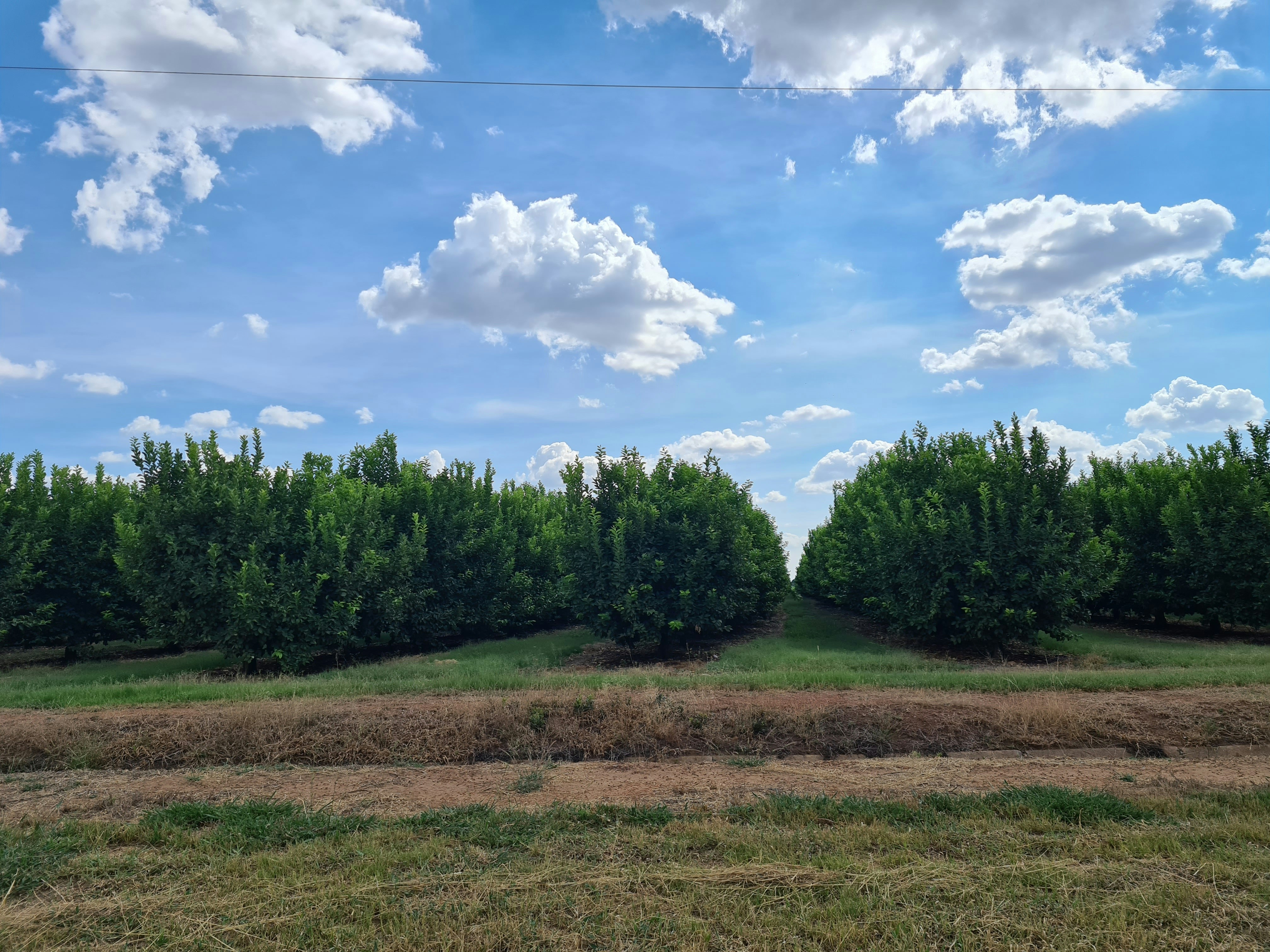 Die Lemoen Plaas Gastehuis | Map