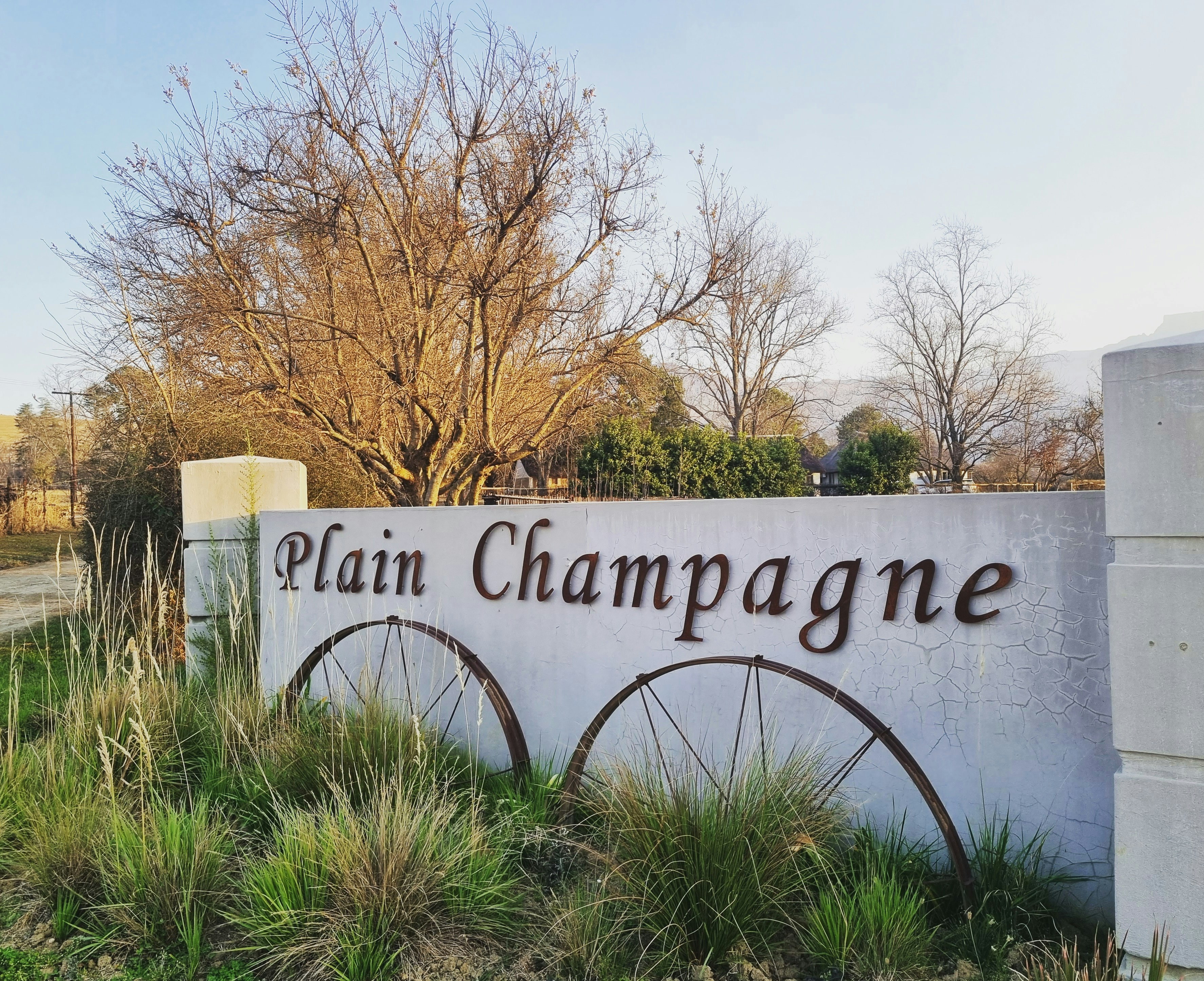 Plain Champagne | LekkeSlaap