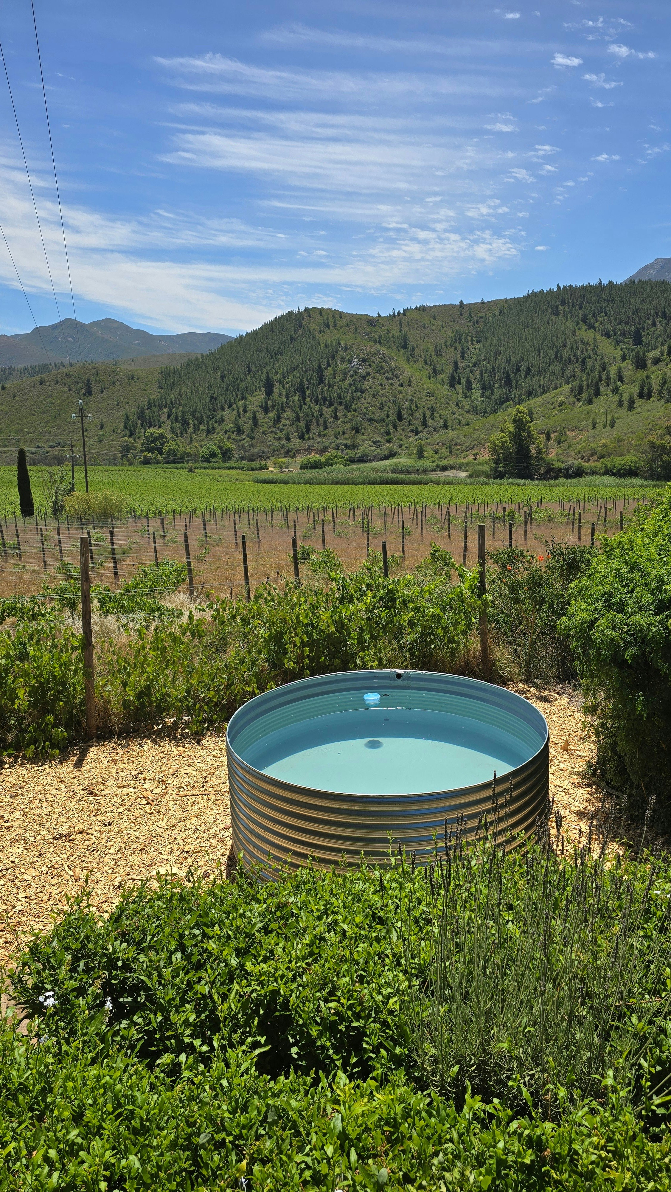 Kapok Cottage | LekkeSlaap