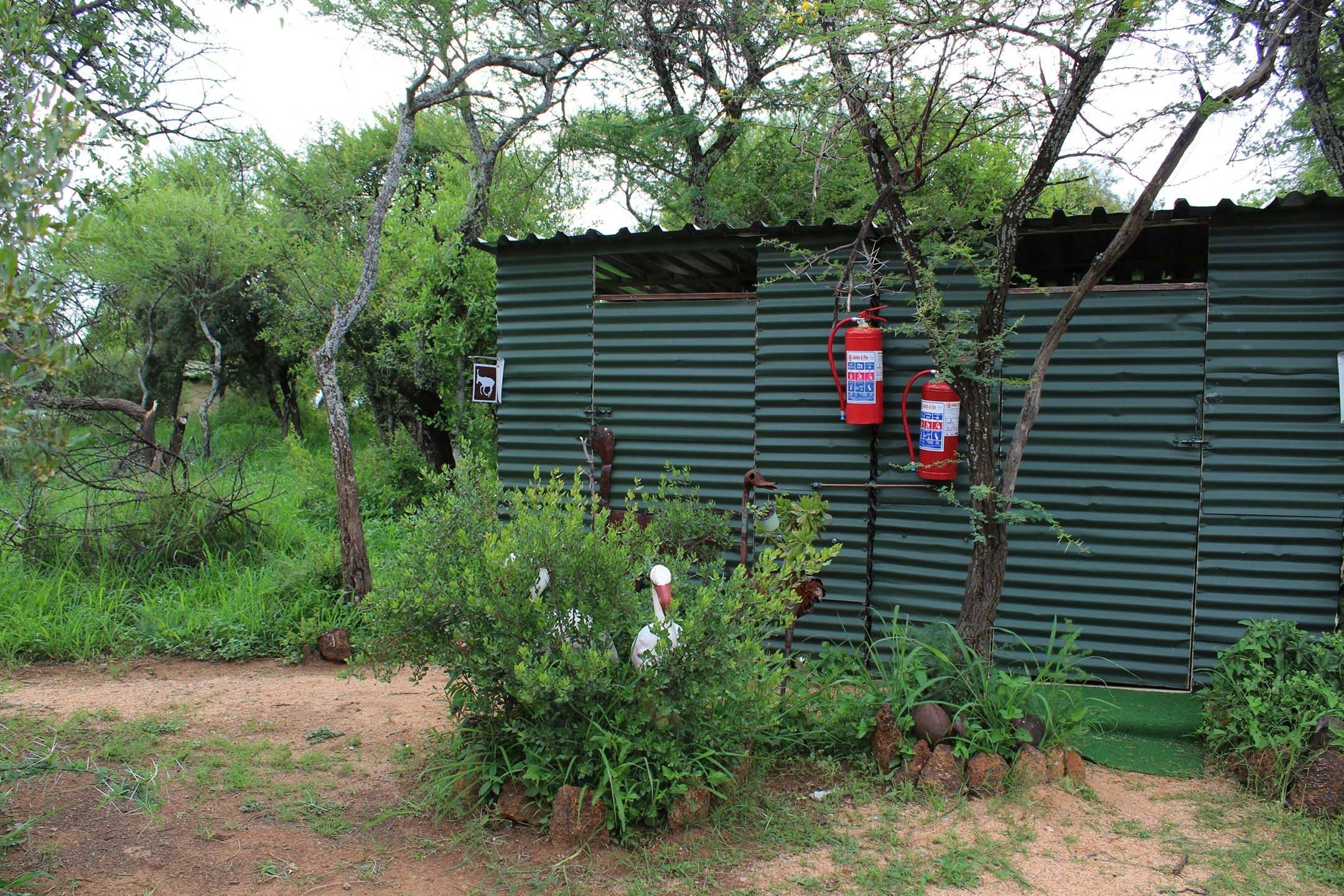 Thorn Tree Bush Camp - Tented Camps and Campsites | Rooms