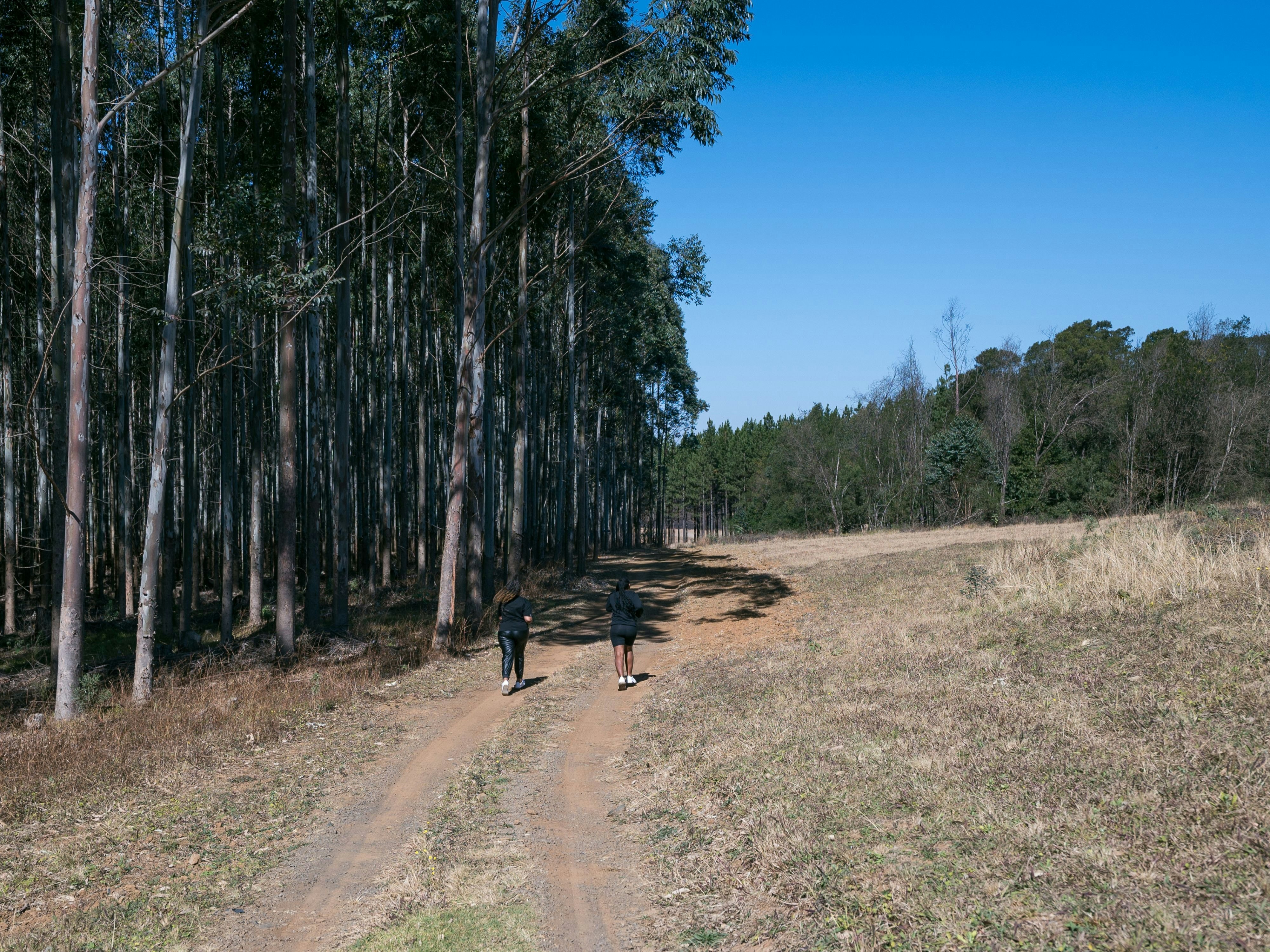 ANEW Resort Ingeli Forest | LekkeSlaap