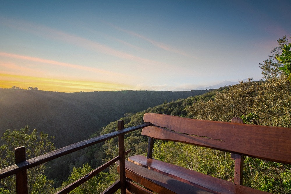 Teniqua Treetops | LekkeSlaap