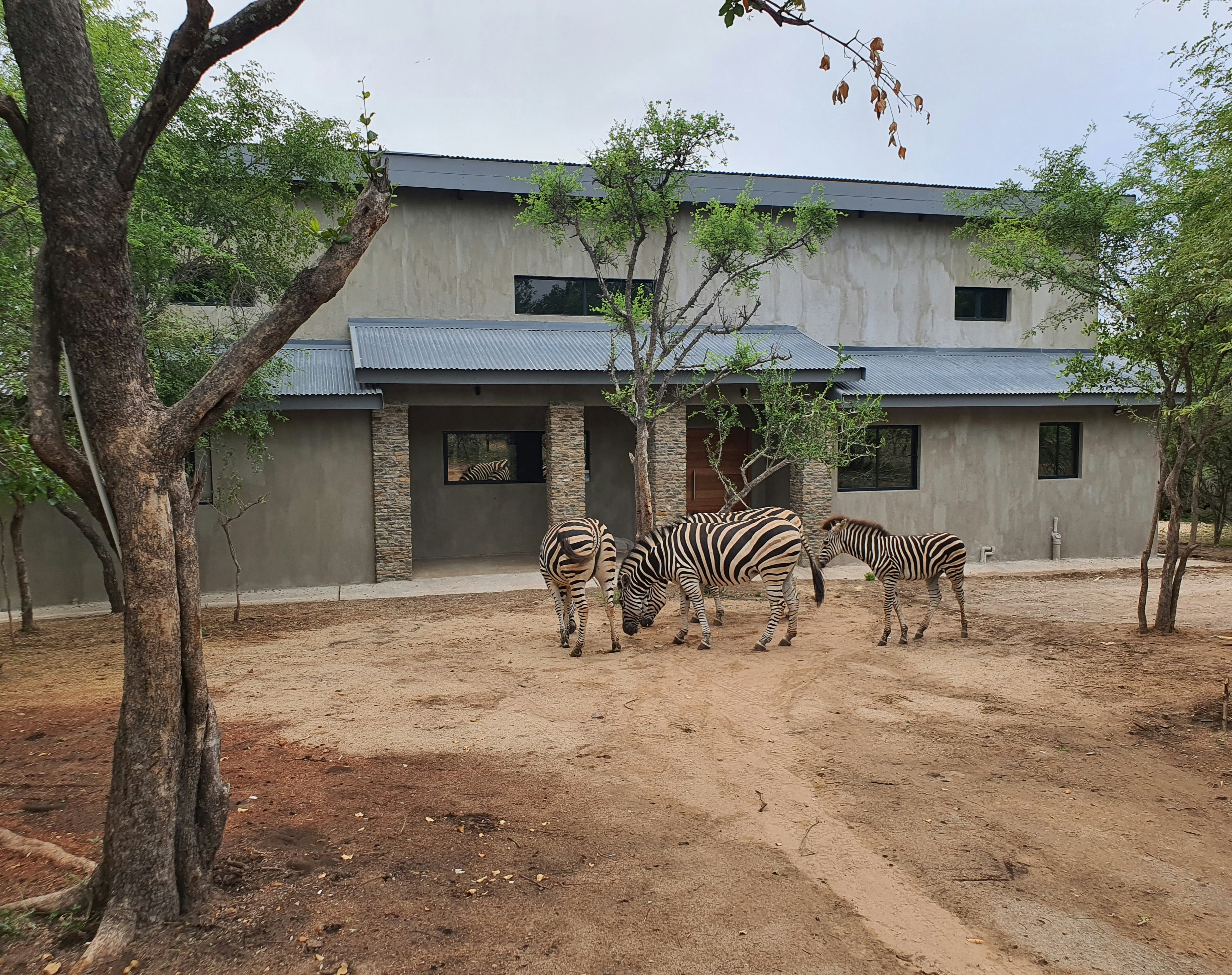 Lionsview Private Lodge - 4 Lions, 4 Sleeper | LekkeSlaap