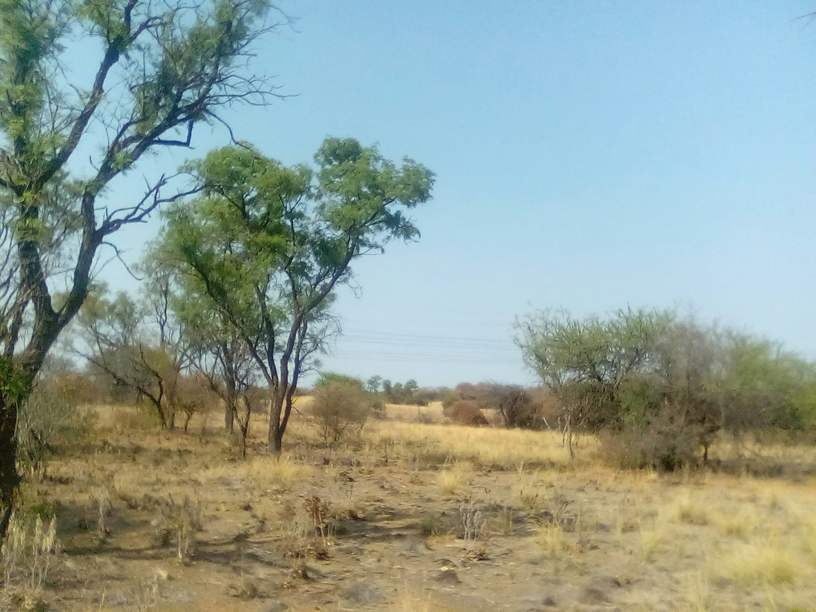 Oppi Plaas | LekkeSlaap