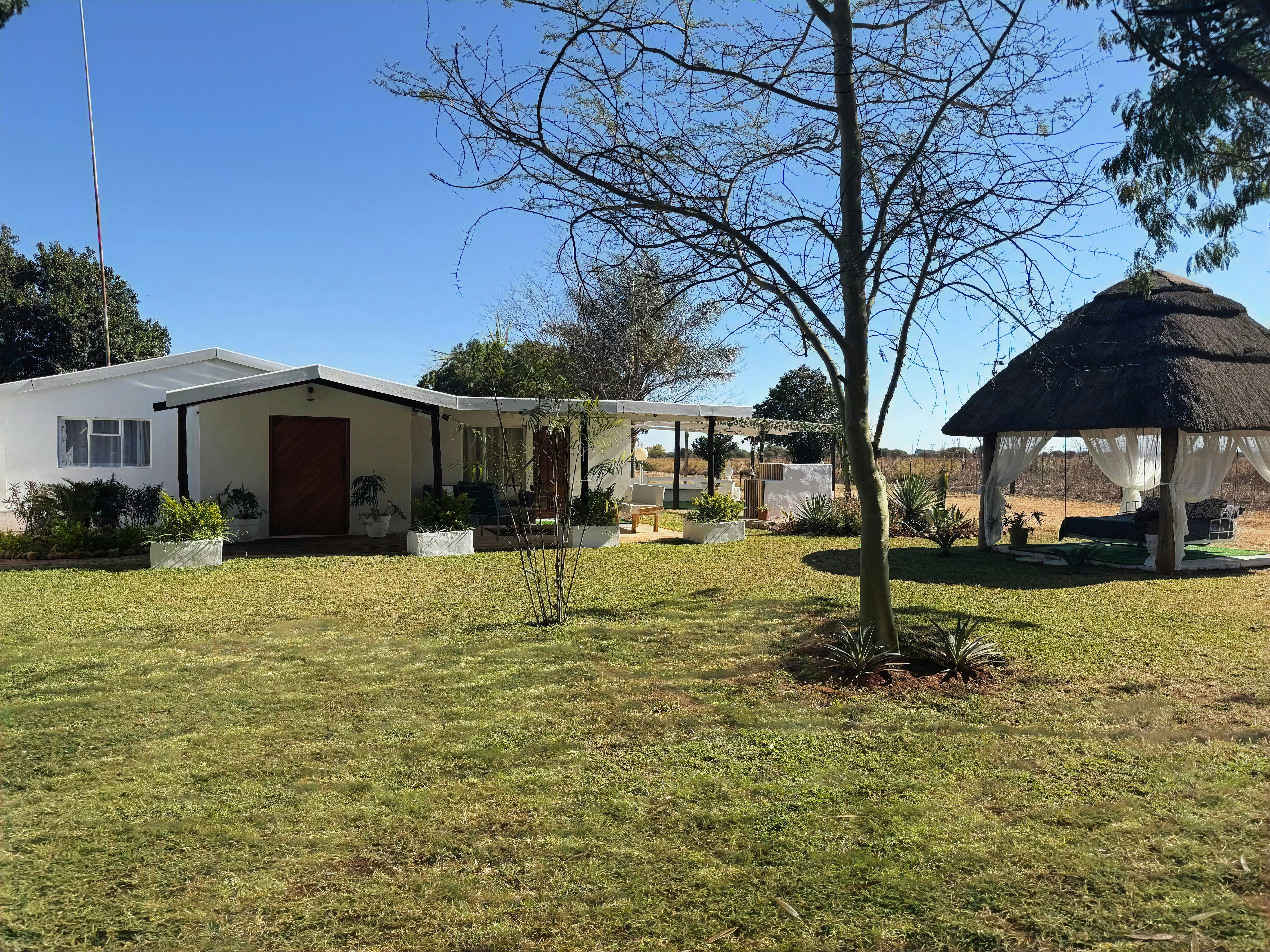 Lemón Phoenix | LekkeSlaap