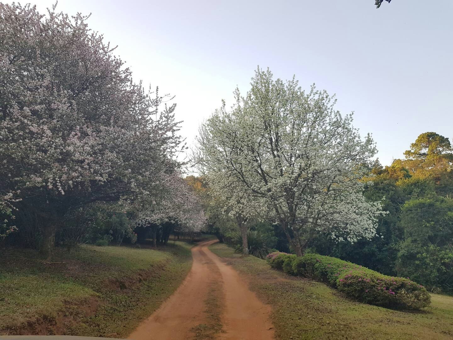 Evergreen Country Cottage | Rates