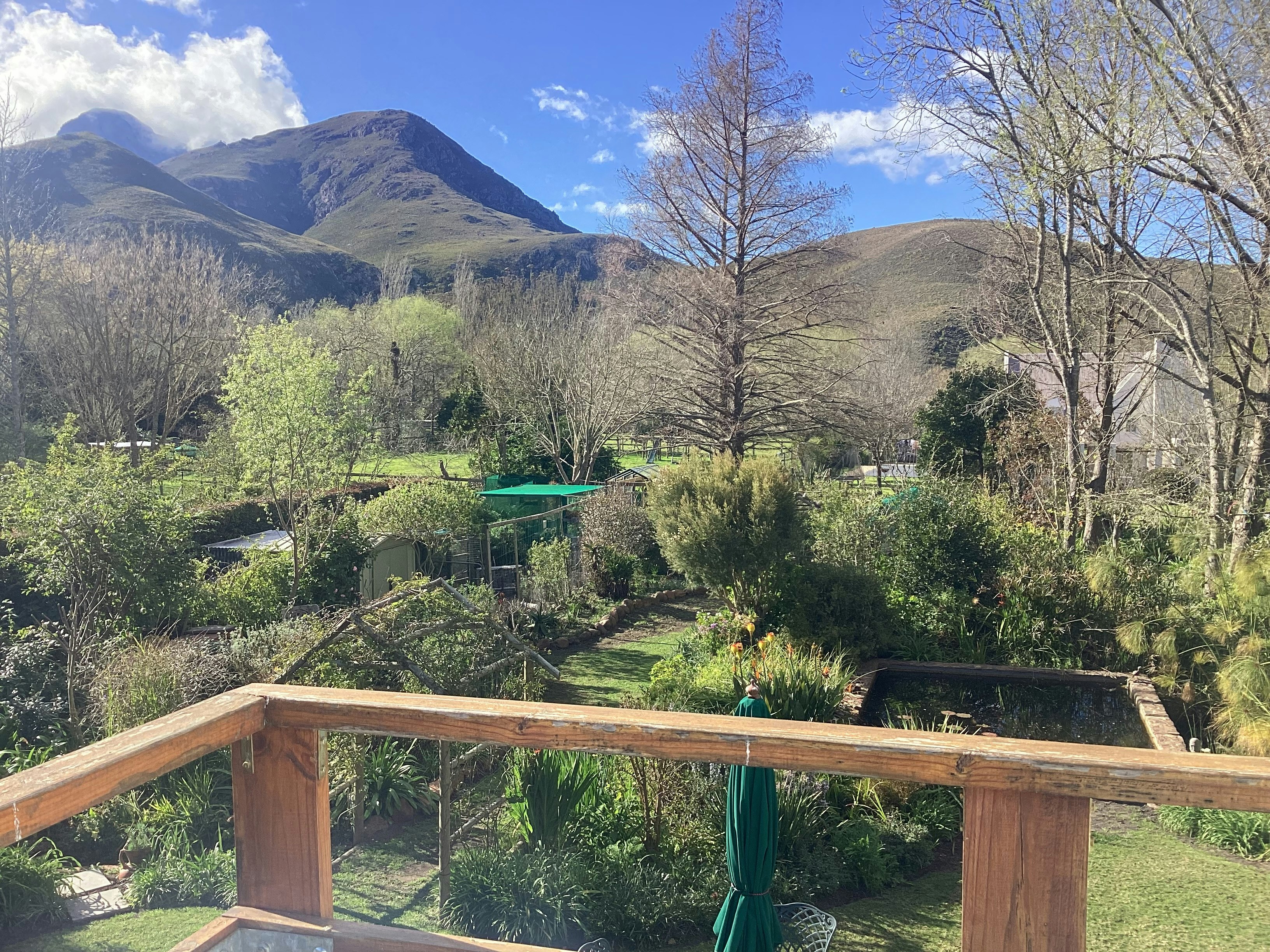 The Owl's Roost | LekkeSlaap