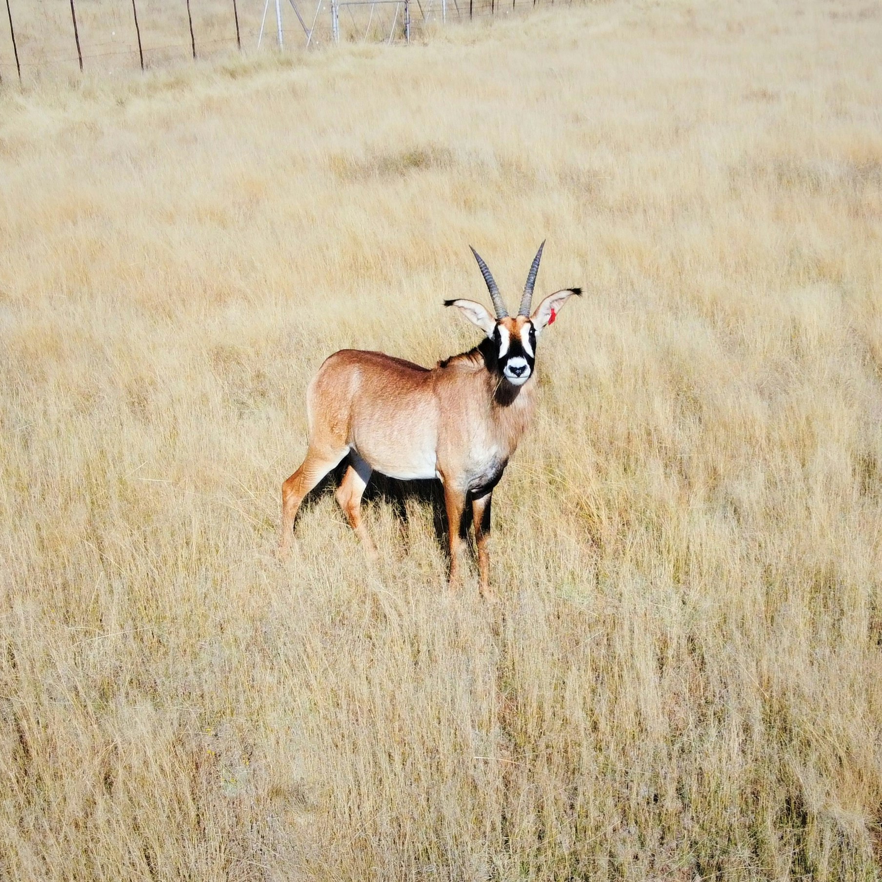 Boshof Accommodation - LekkeSlaap