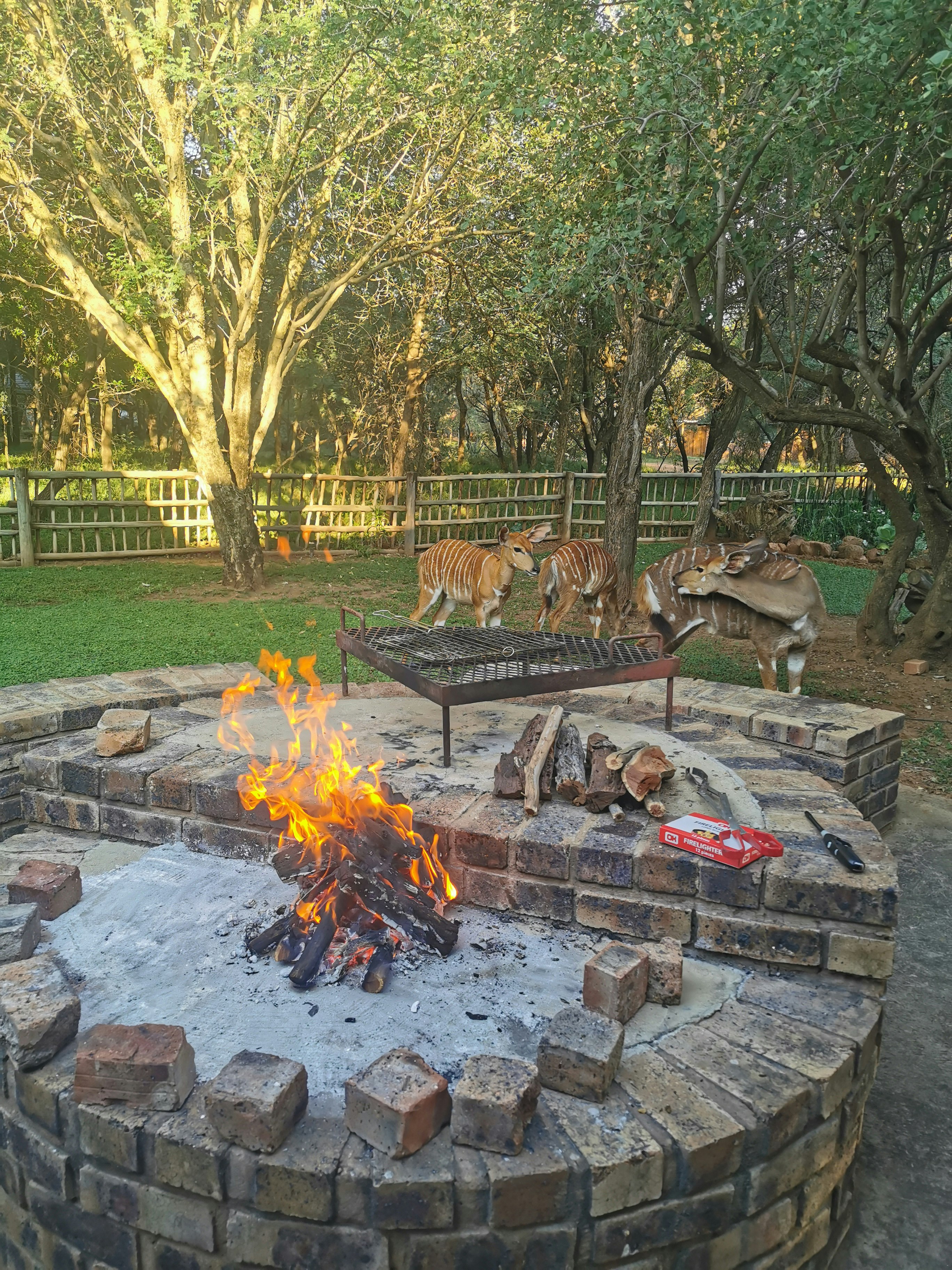 Tarentaal Nes | TravelGround