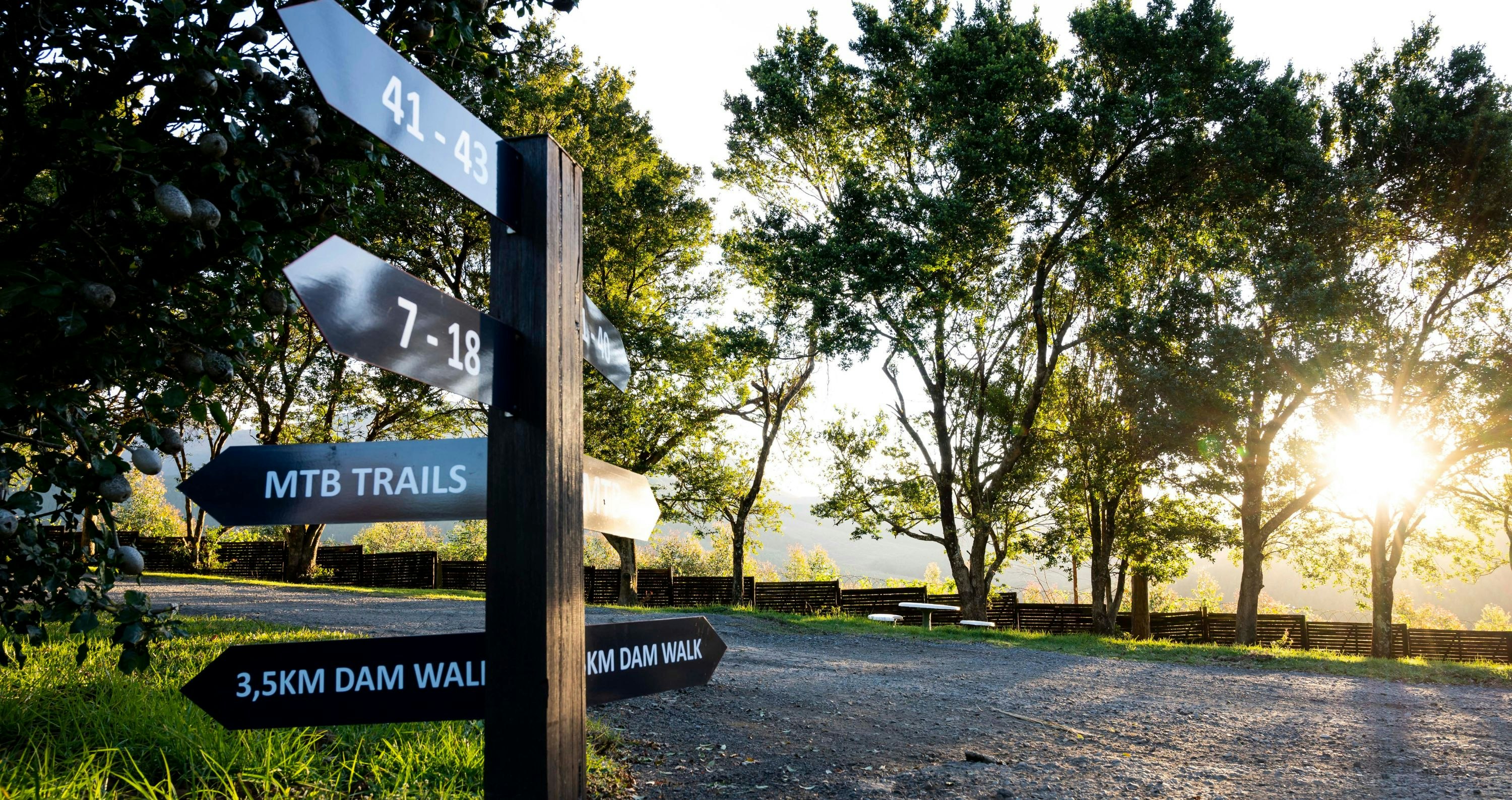 ANEW Resort Ingeli Forest | LekkeSlaap