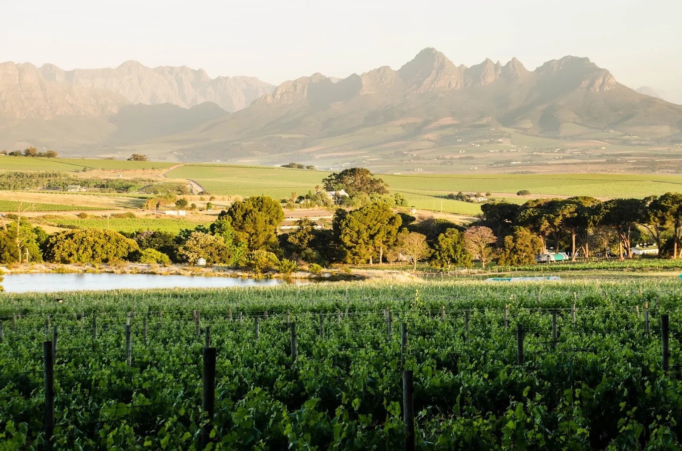 Lavinia Lifestyle | Rates