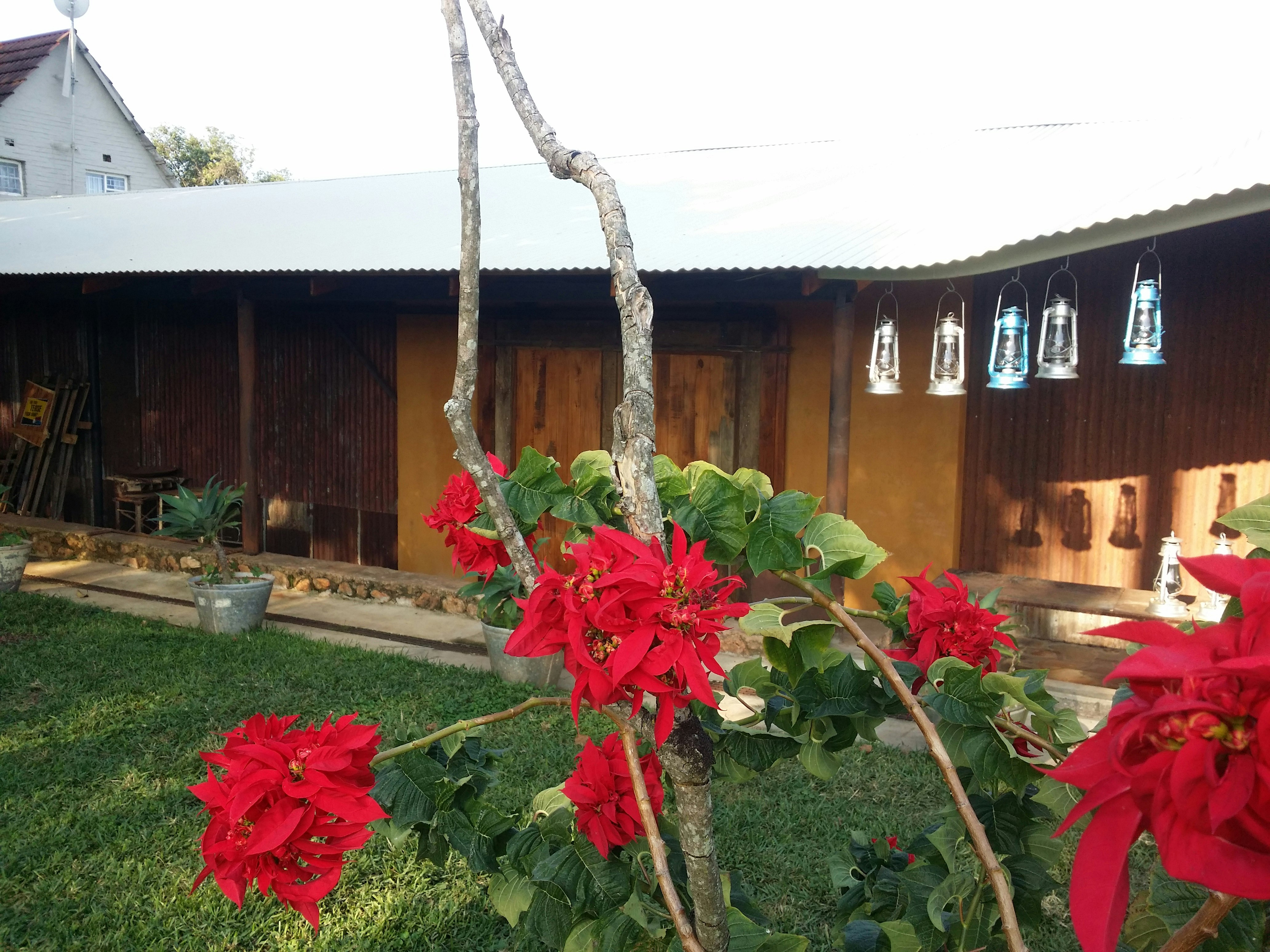 Sabaan Guest Farm | LekkeSlaap