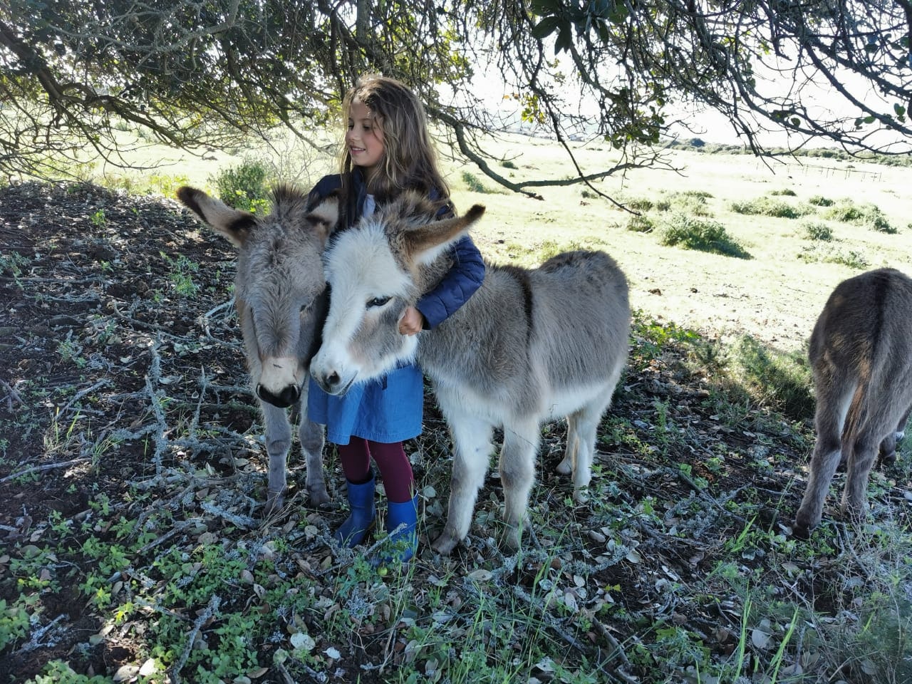 Oppi Plaas by die See | LekkeSlaap