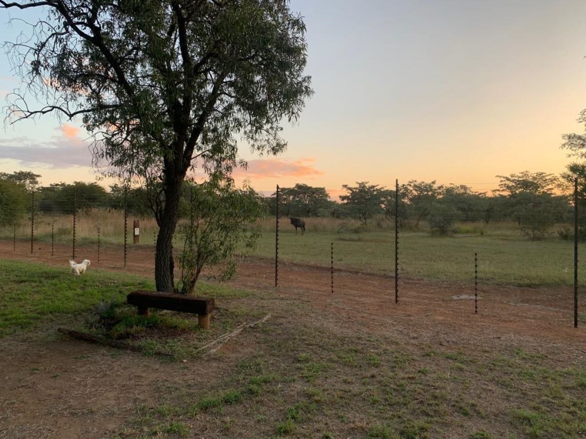 Sambane Bush Lodge | Rooms