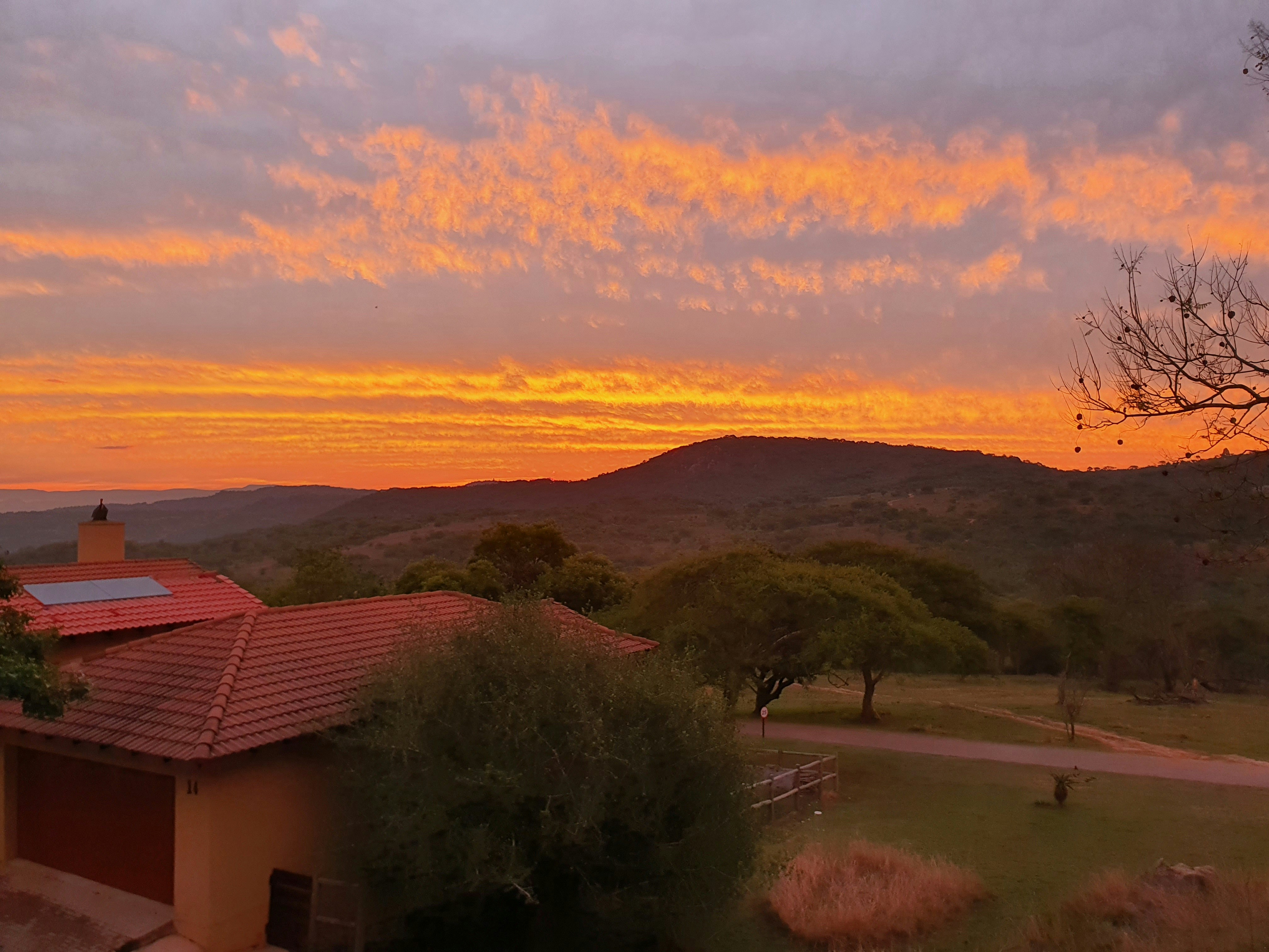 Wild Fig Lowveld Paradise | LekkeSlaap