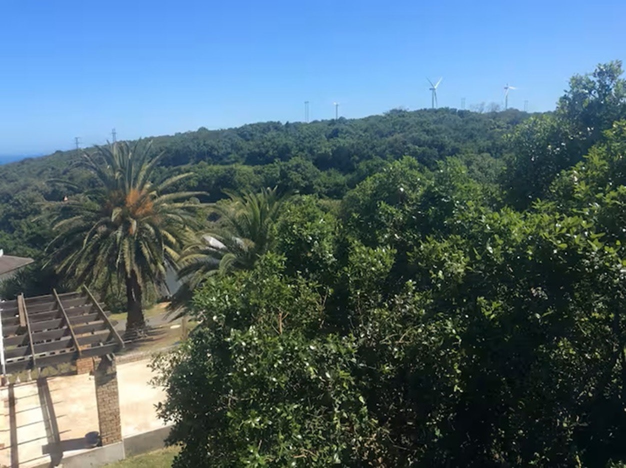 Groen Deure In Die Natuur | LekkeSlaap