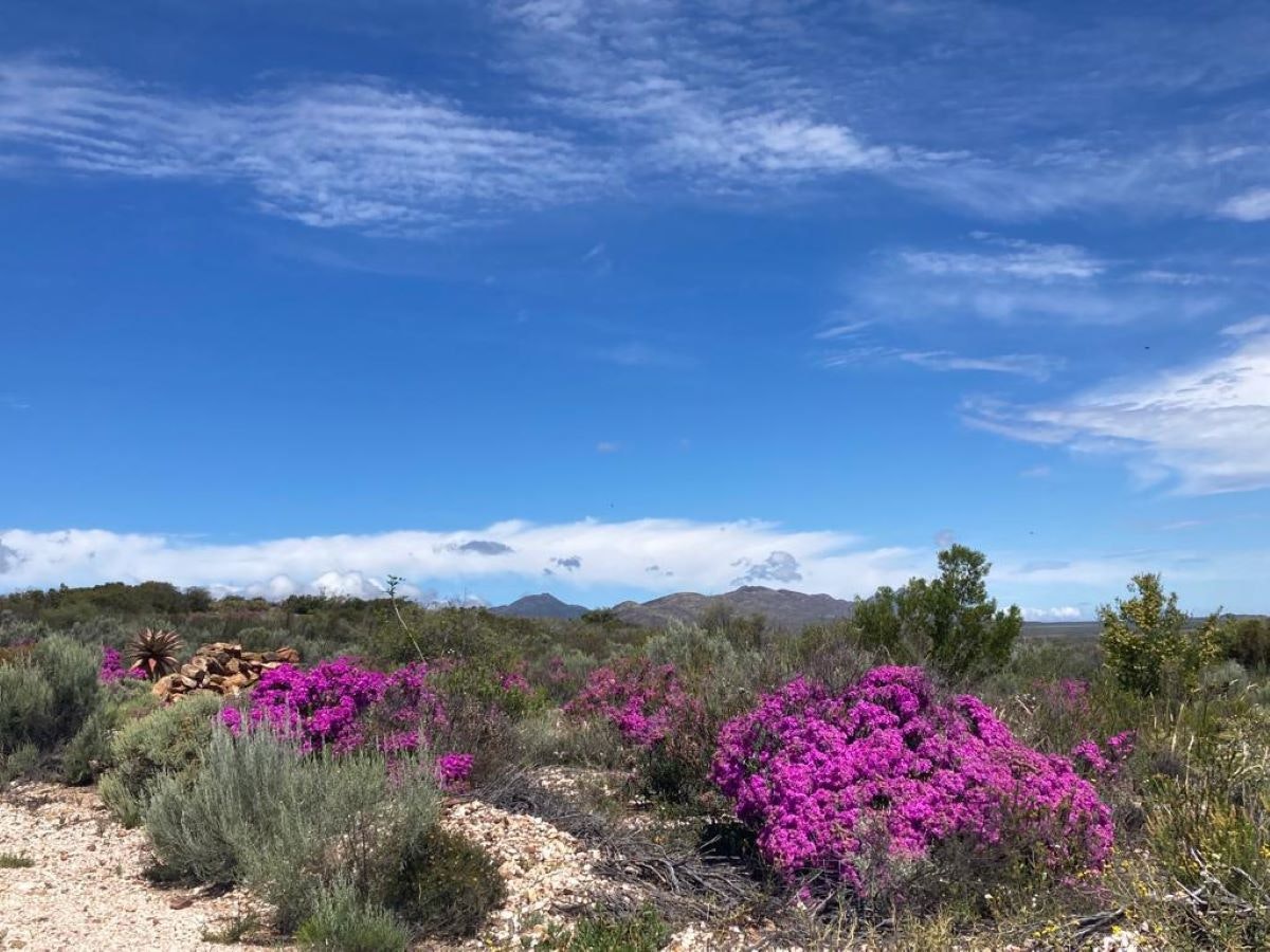 Kruispad Cottage | LekkeSlaap