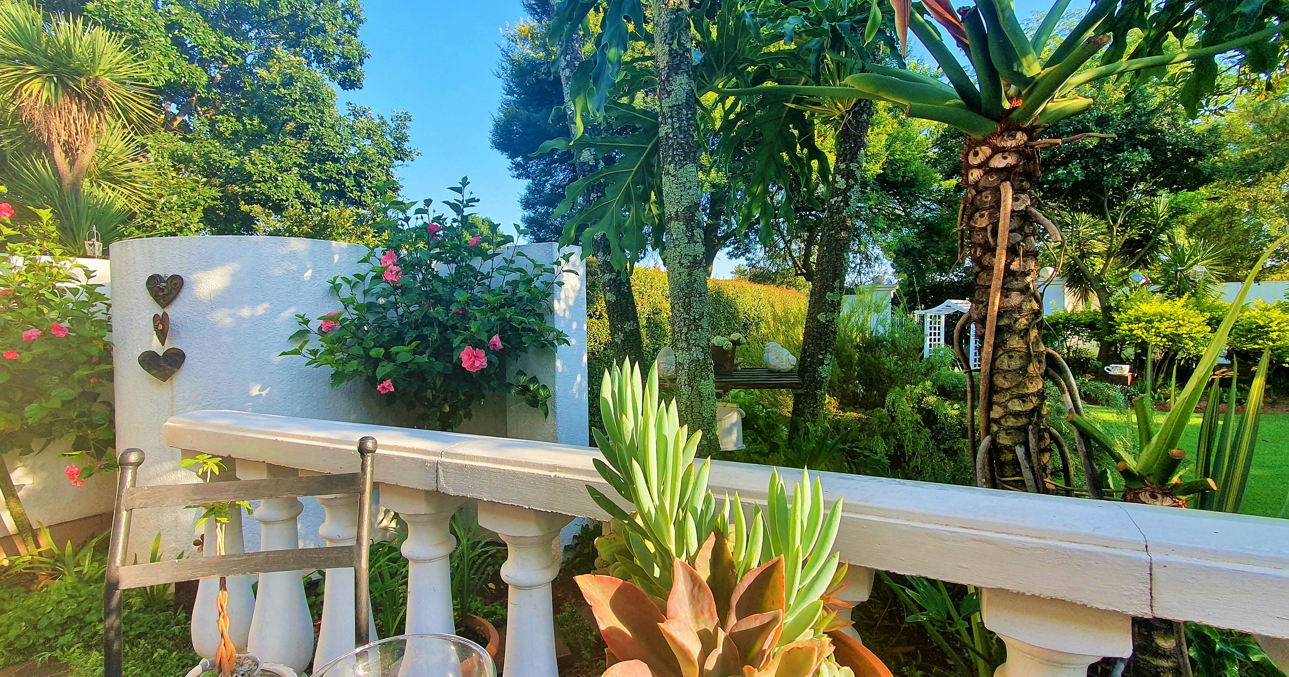 Accommodation near UNISA Florida Campus | LekkeSlaap