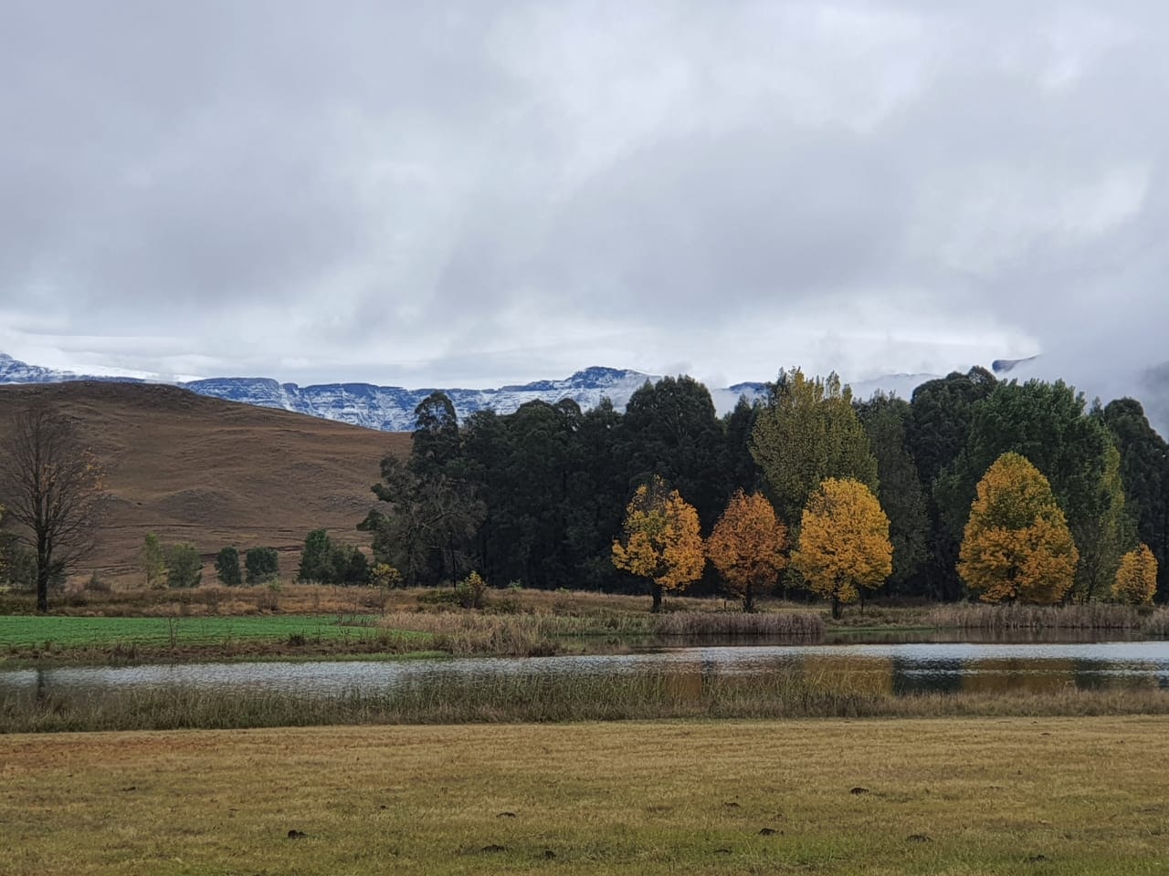 Stoneyhall Farm | Rooms