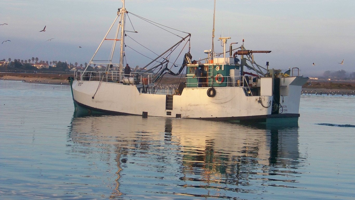 Pikkewyn | LekkeSlaap