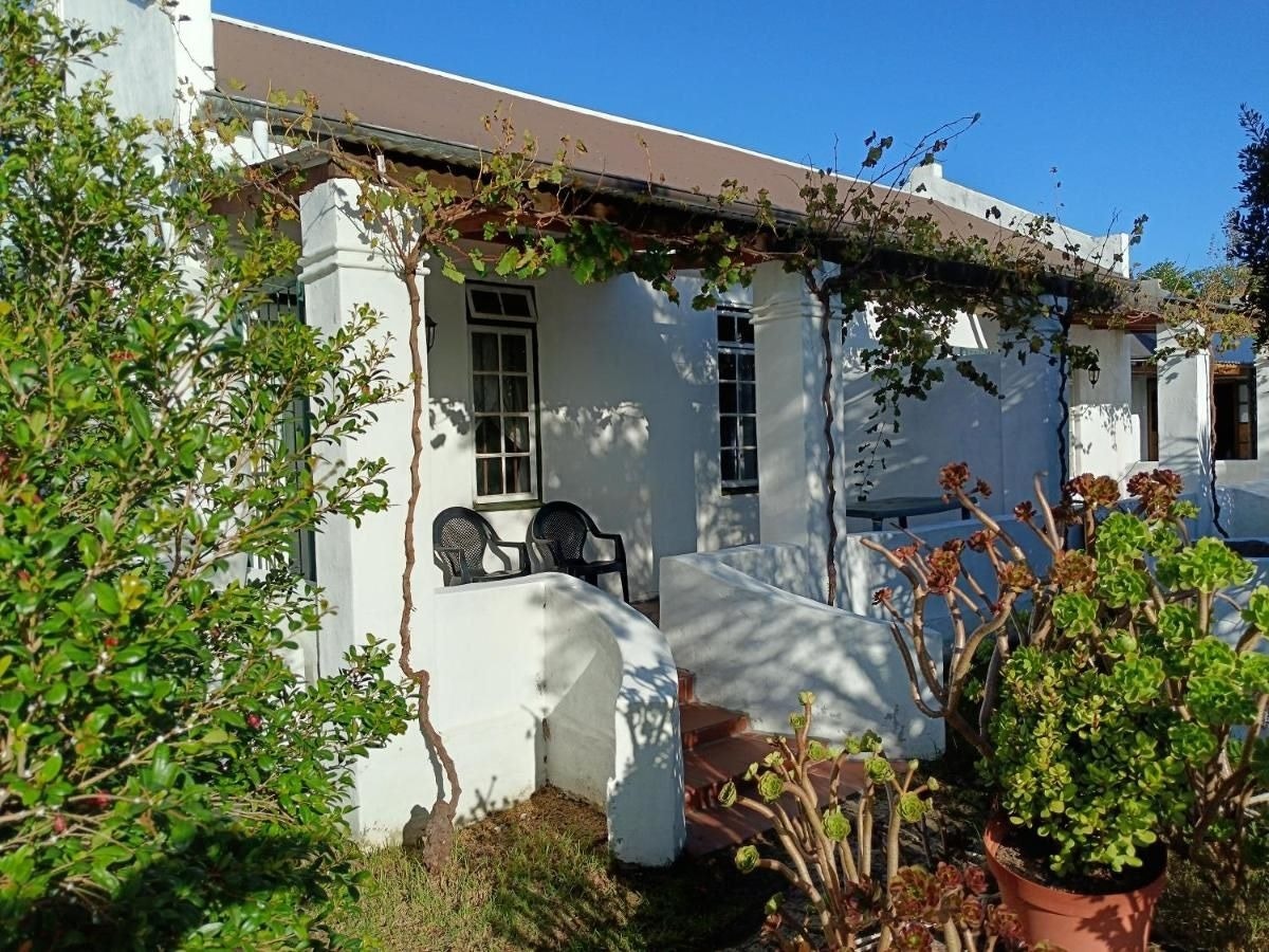 De Kleine Kelder | LekkeSlaap