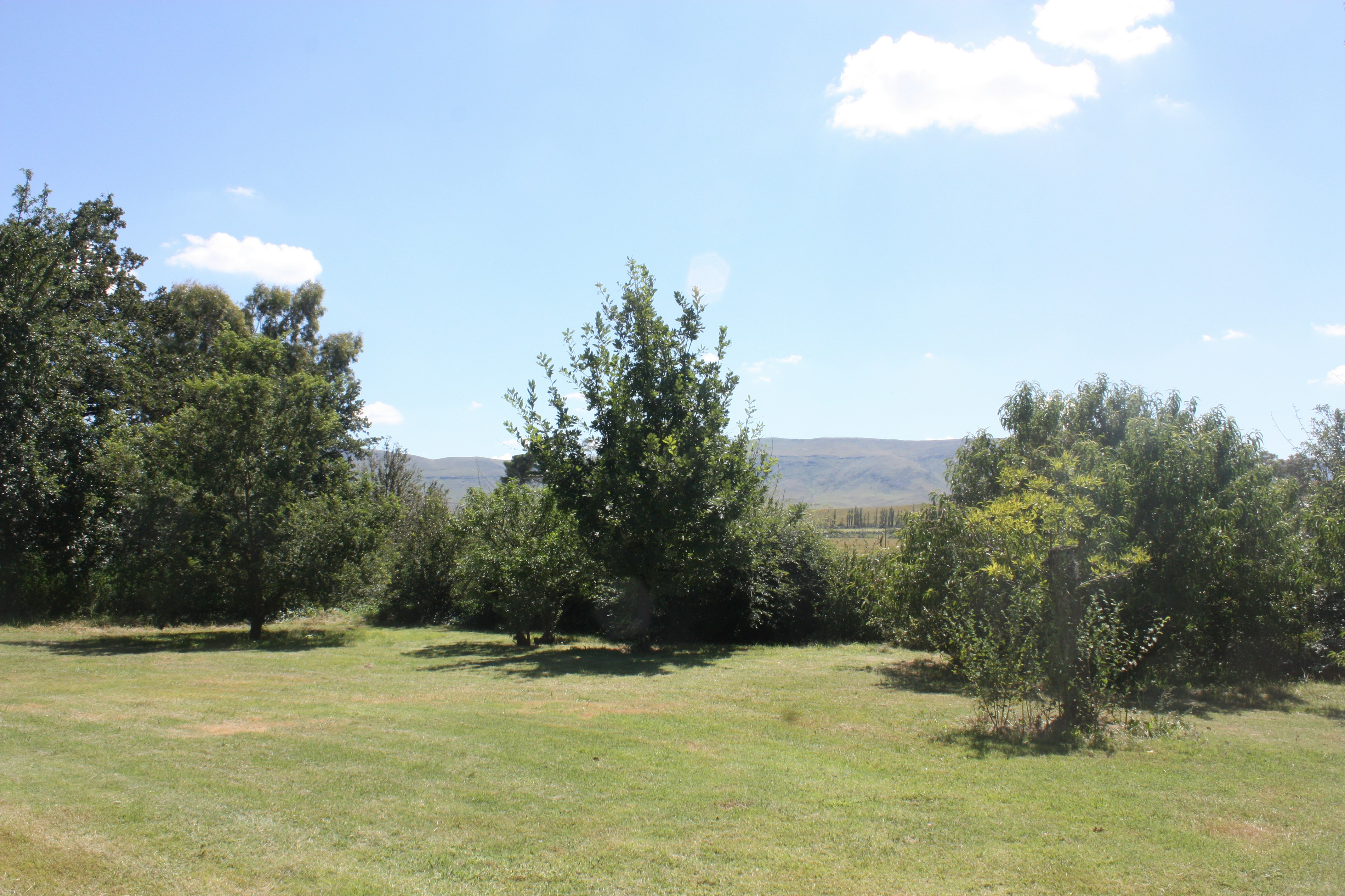 Coldstream Farm Stay | Rooms