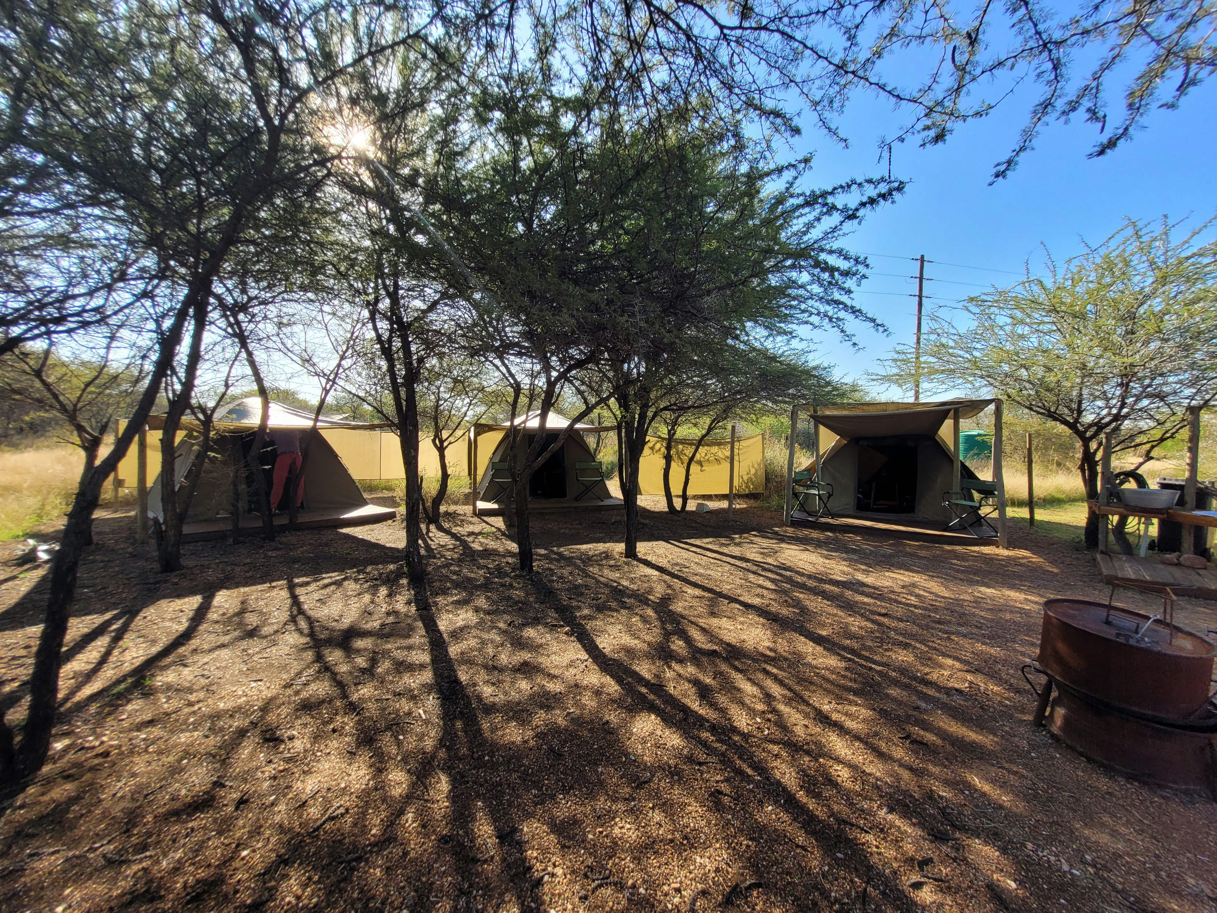 Thorn Tree Bush Camp - Tented Camps and Campsites | Rooms