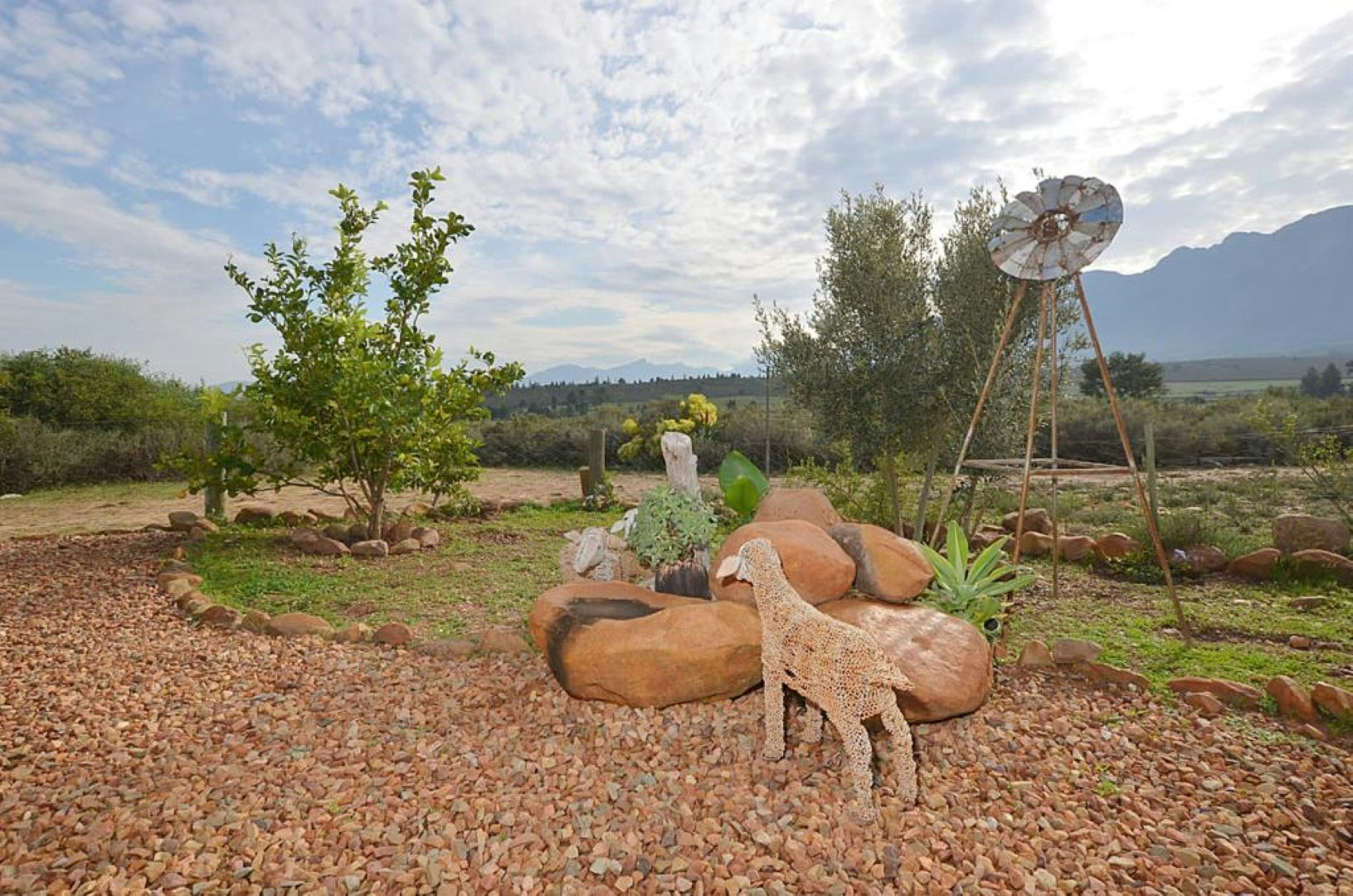 31 on Witzenberg | LekkeSlaap