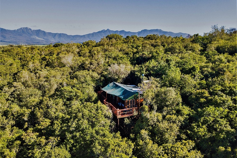 Teniqua Treetops | TravelGround