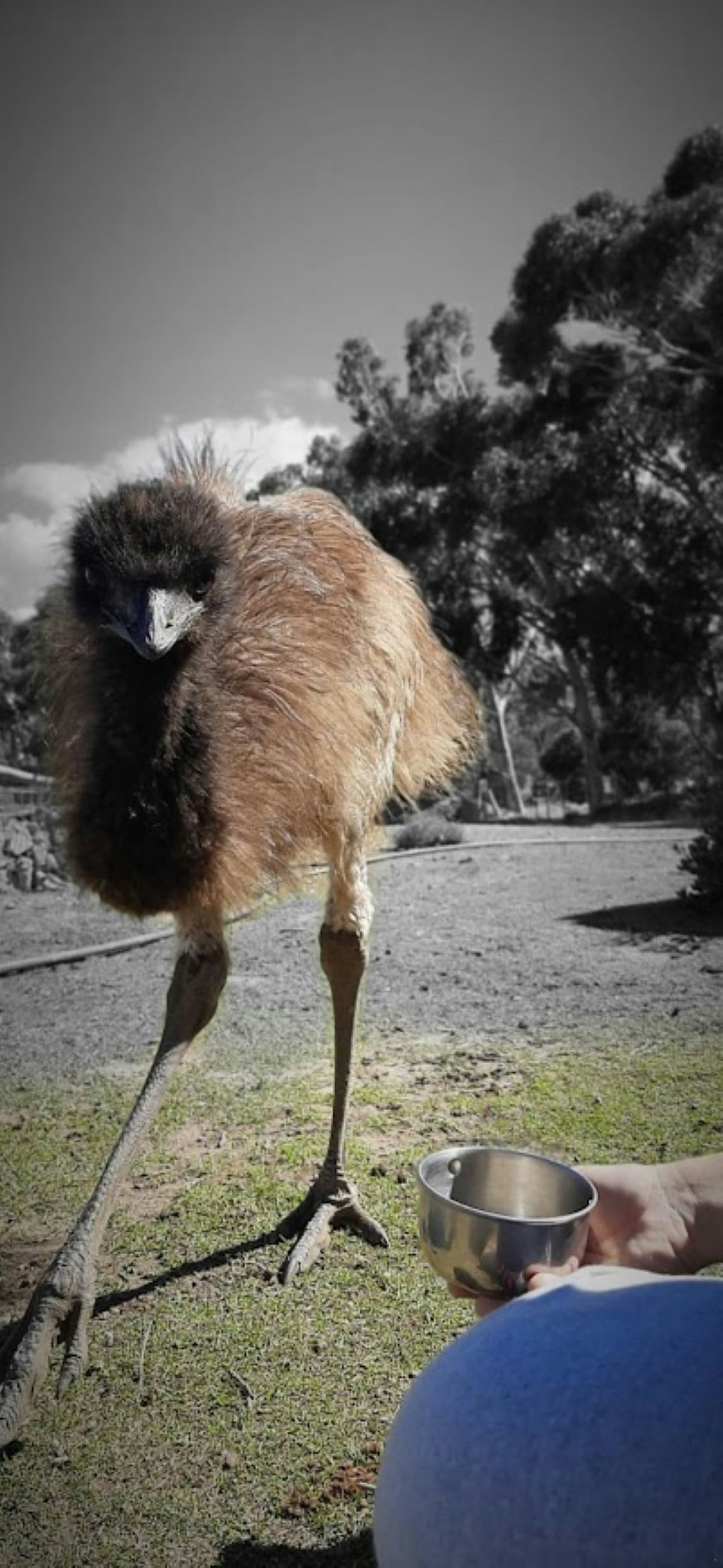 11 Mountain Stream | Rooms