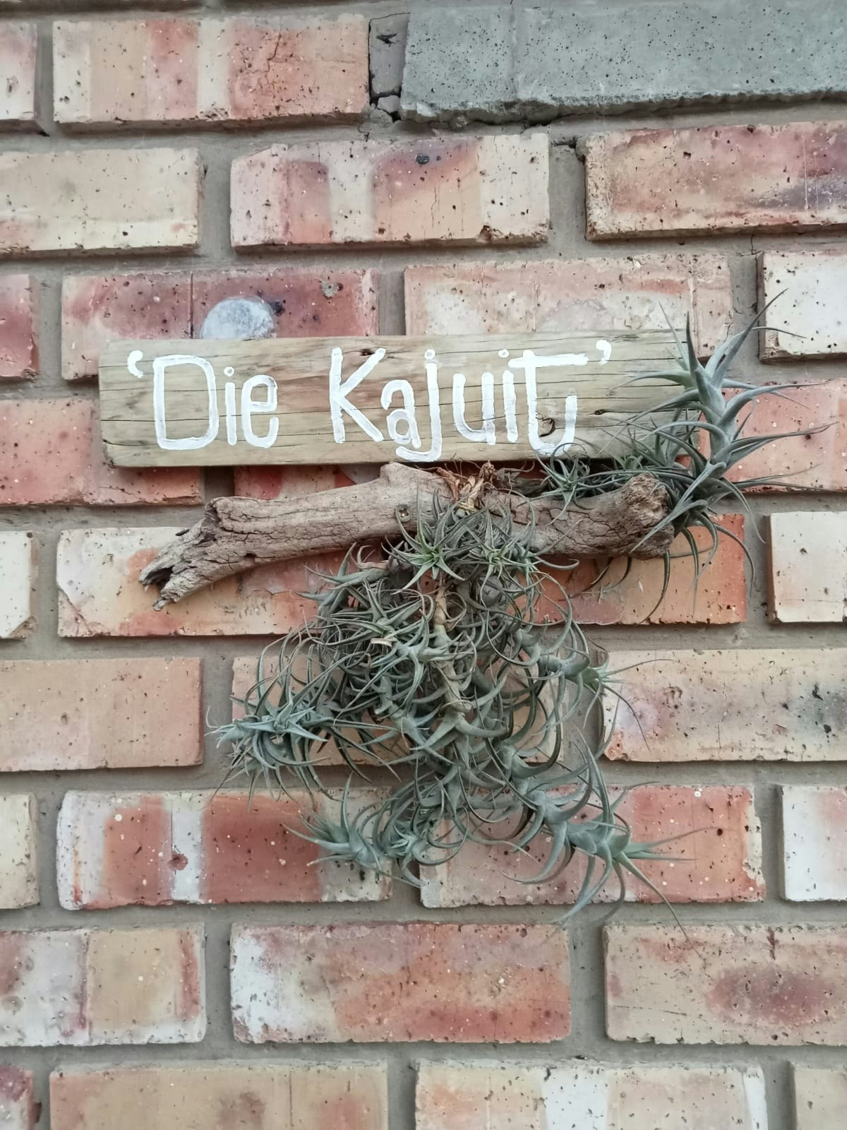 Die Kajuit | LekkeSlaap