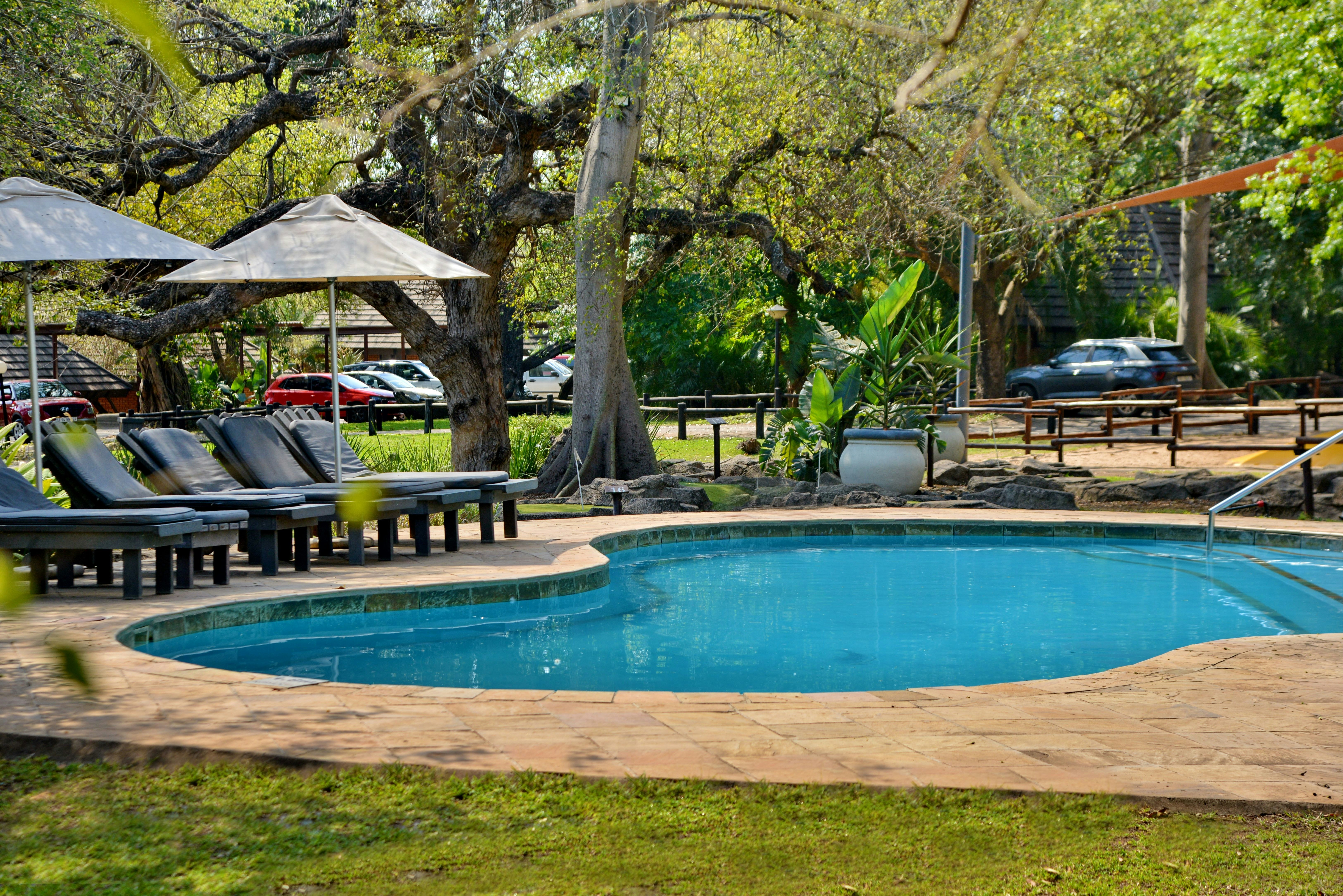 Ngwenya Safari Lodge | LekkeSlaap