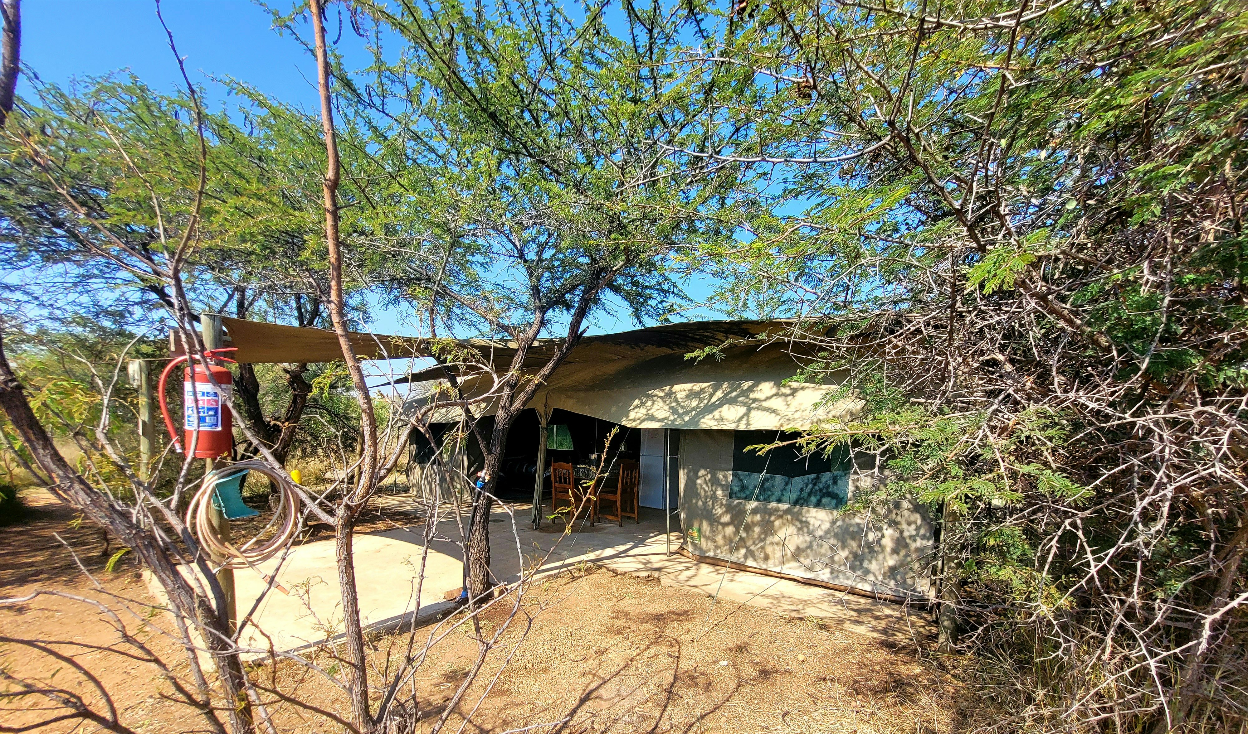 Thorn Tree Bush Camp - Tented Camps and Campsites | Rooms