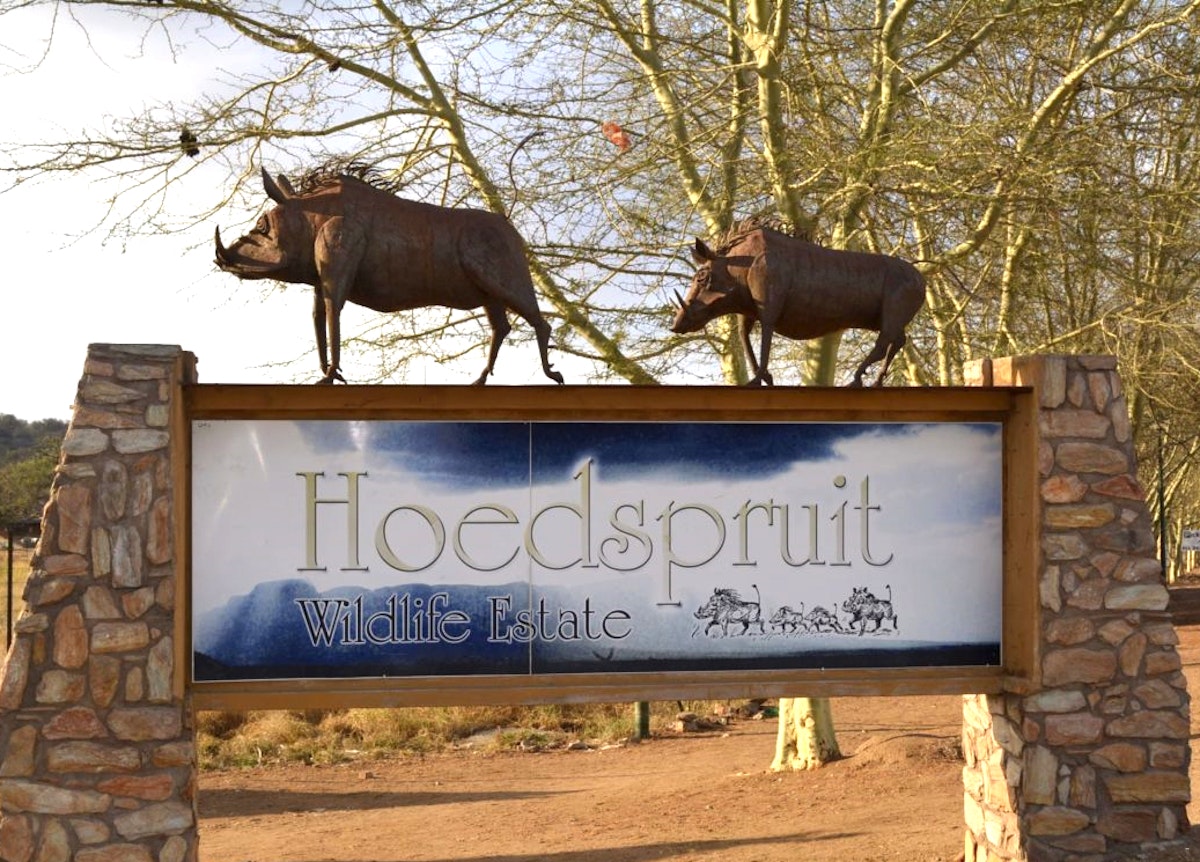 Taaibos Bush Lodge | Kamers