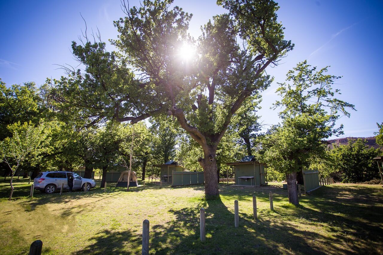 Kromrivier Cederberg Park | Rooms