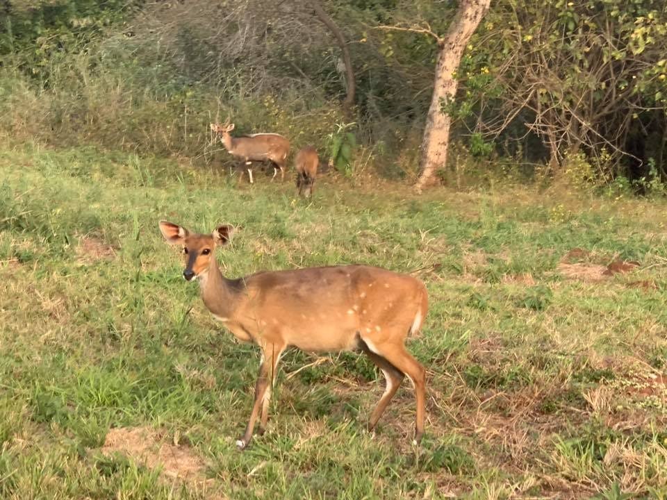 Mankele | LekkeSlaap