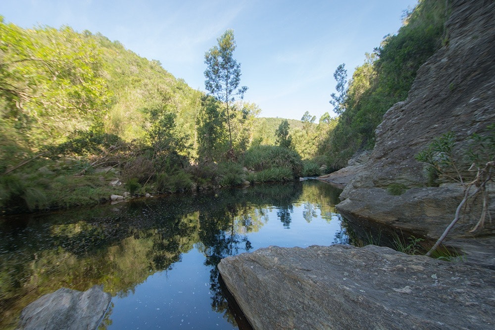 Teniqua Treetops | TravelGround