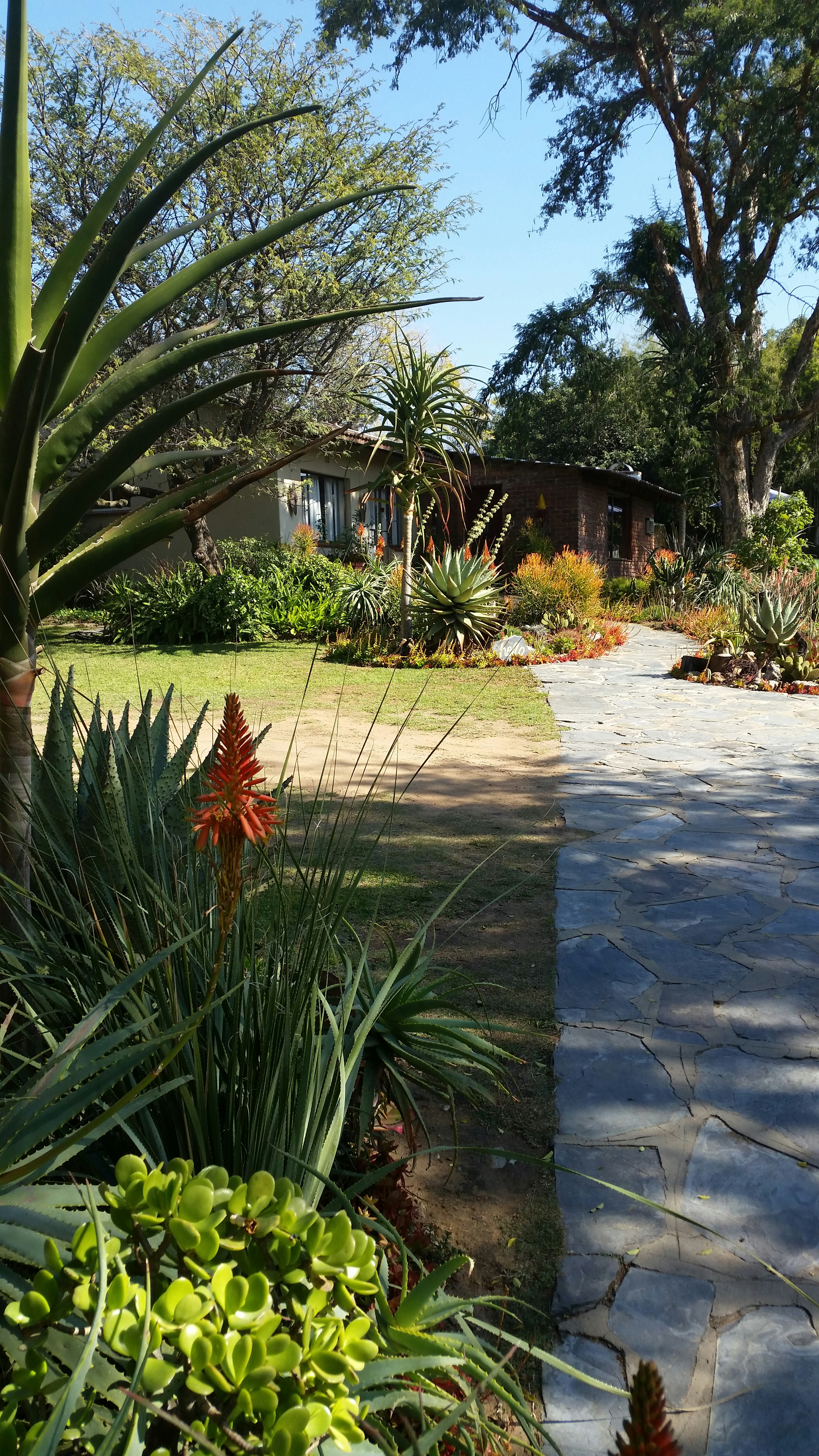 Aloe Ridge | LekkeSlaap