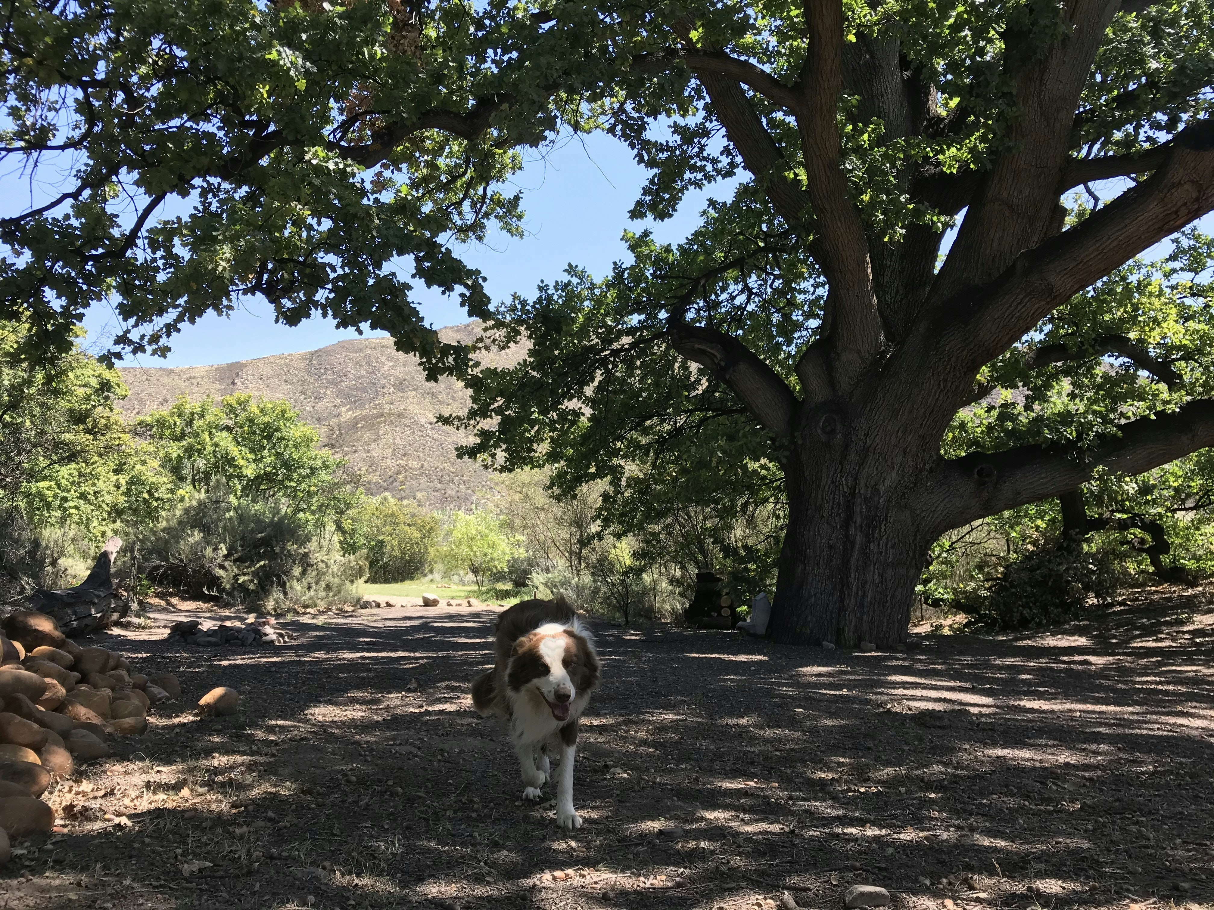 Simonskloof Camping | Rooms