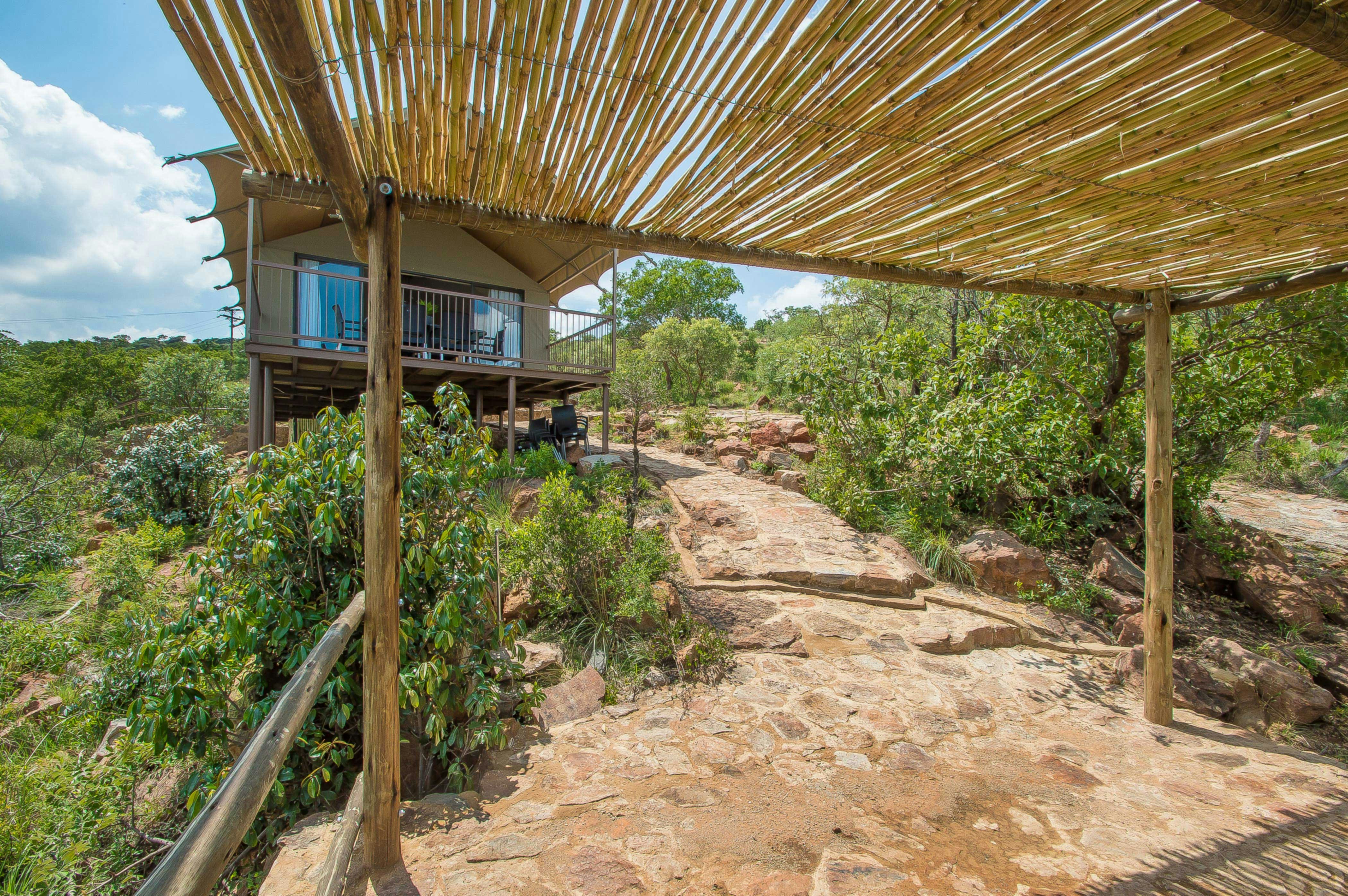 Idwala Le Ingwe Lodge | LekkeSlaap