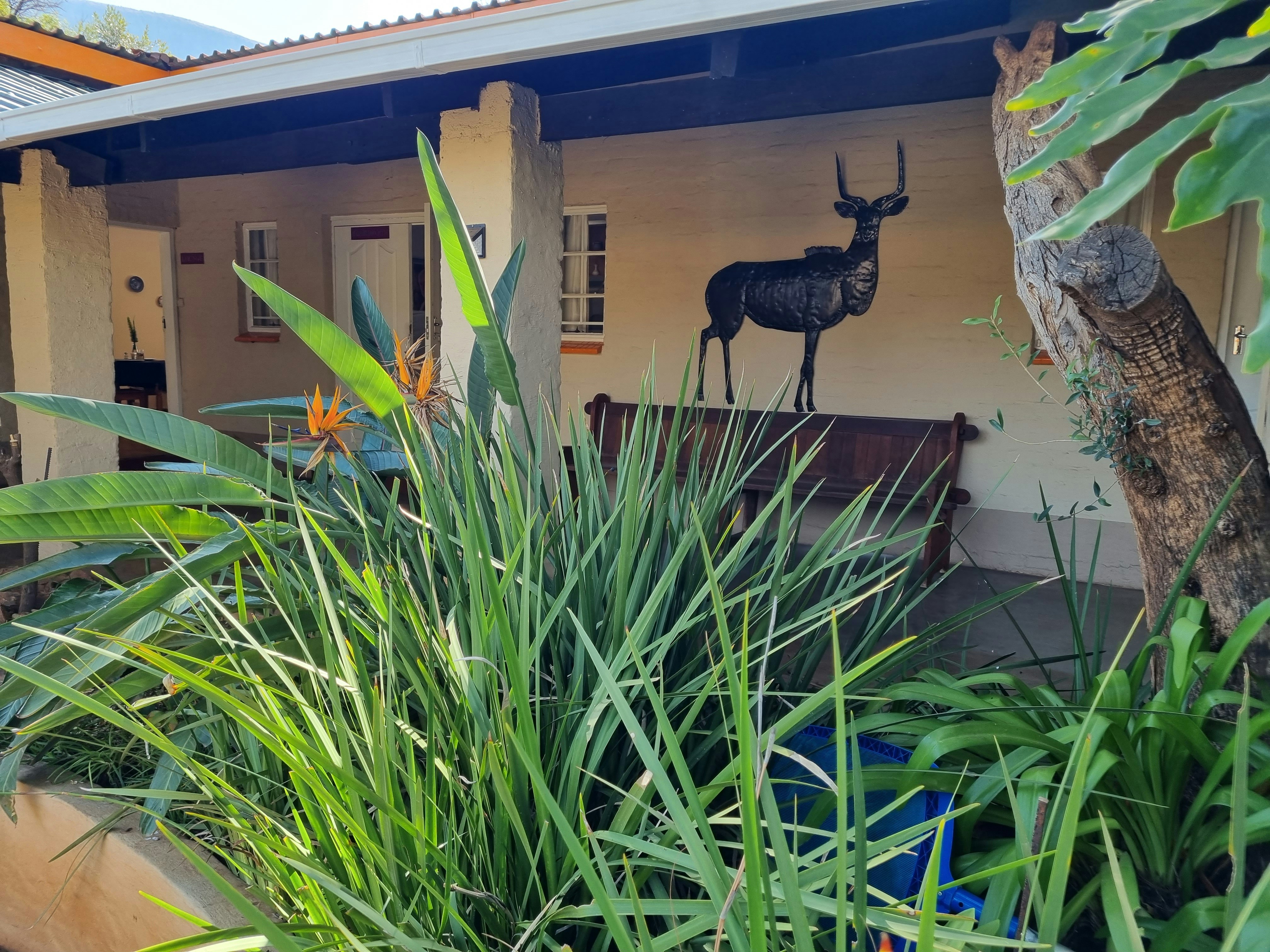 Harties Is Africa Safari Lodge | Rooms