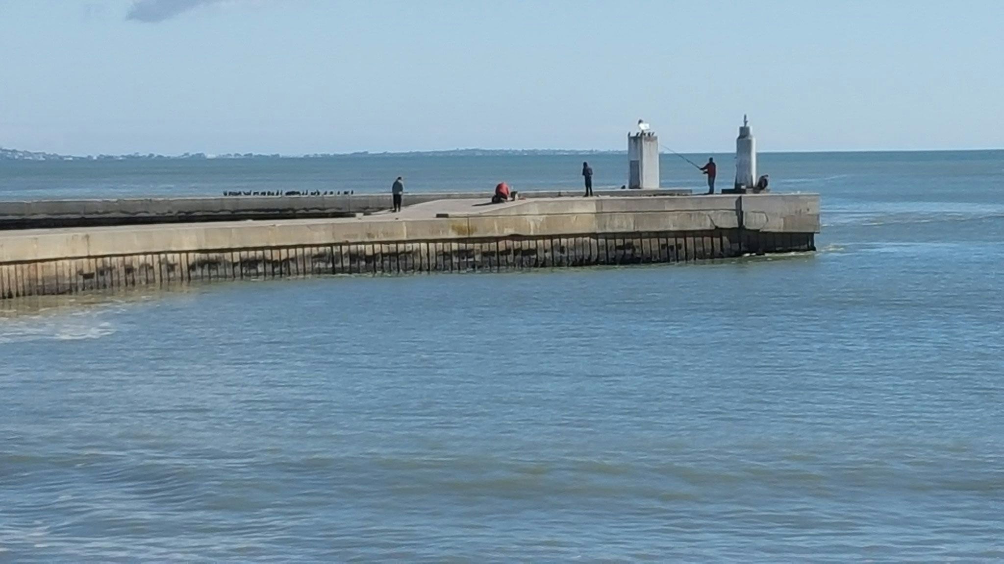 Pikkewyn | LekkeSlaap