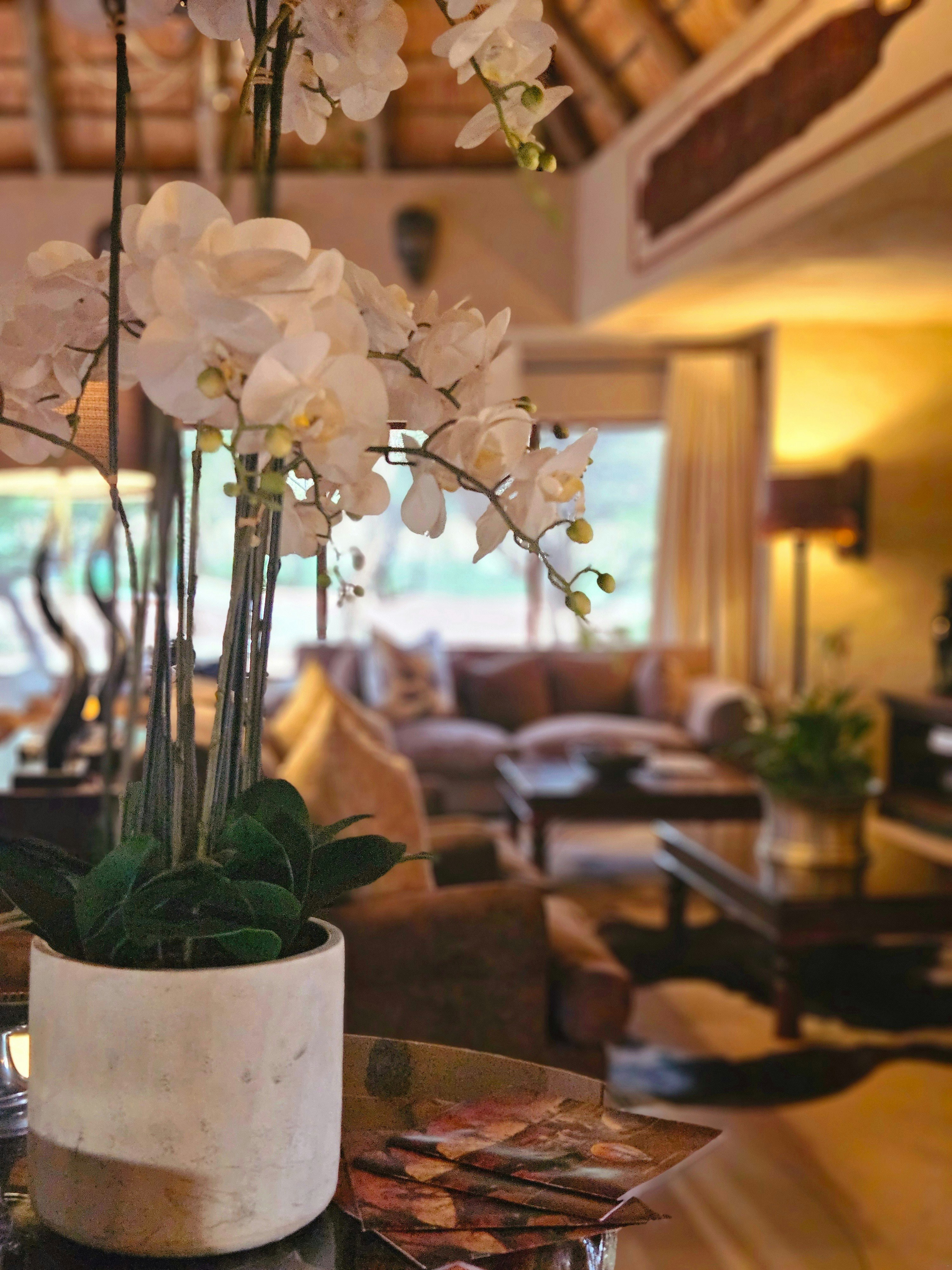 Dinokeng Wildreservaat Akkommodasie - LekkeSlaap