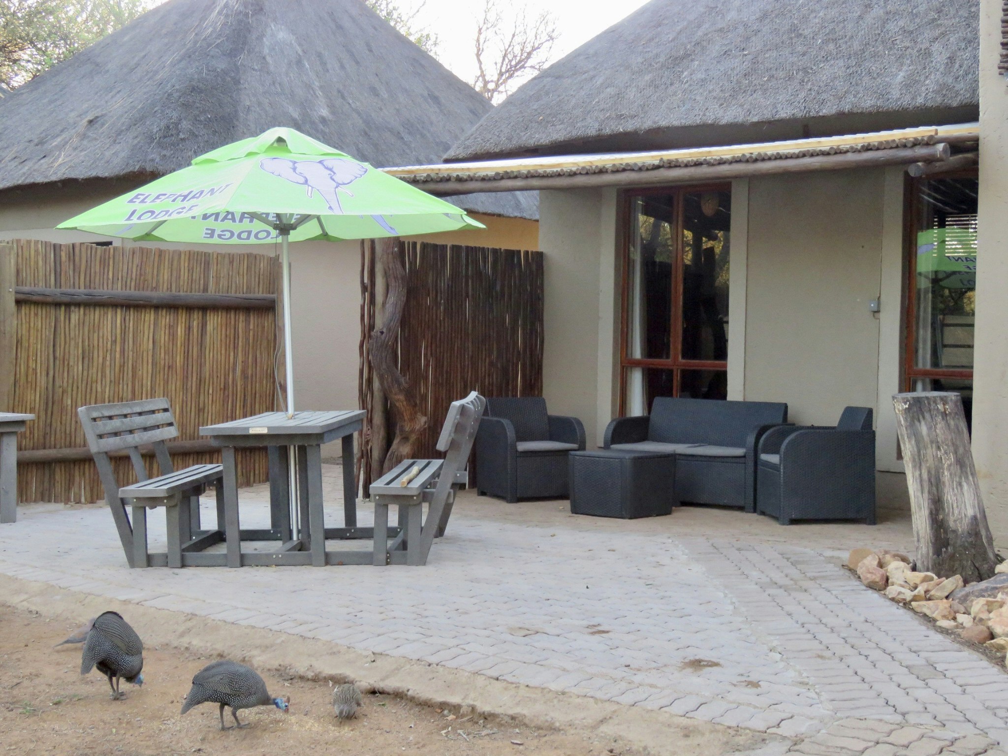 Mabalingwe Elephant Lodge | Kamers