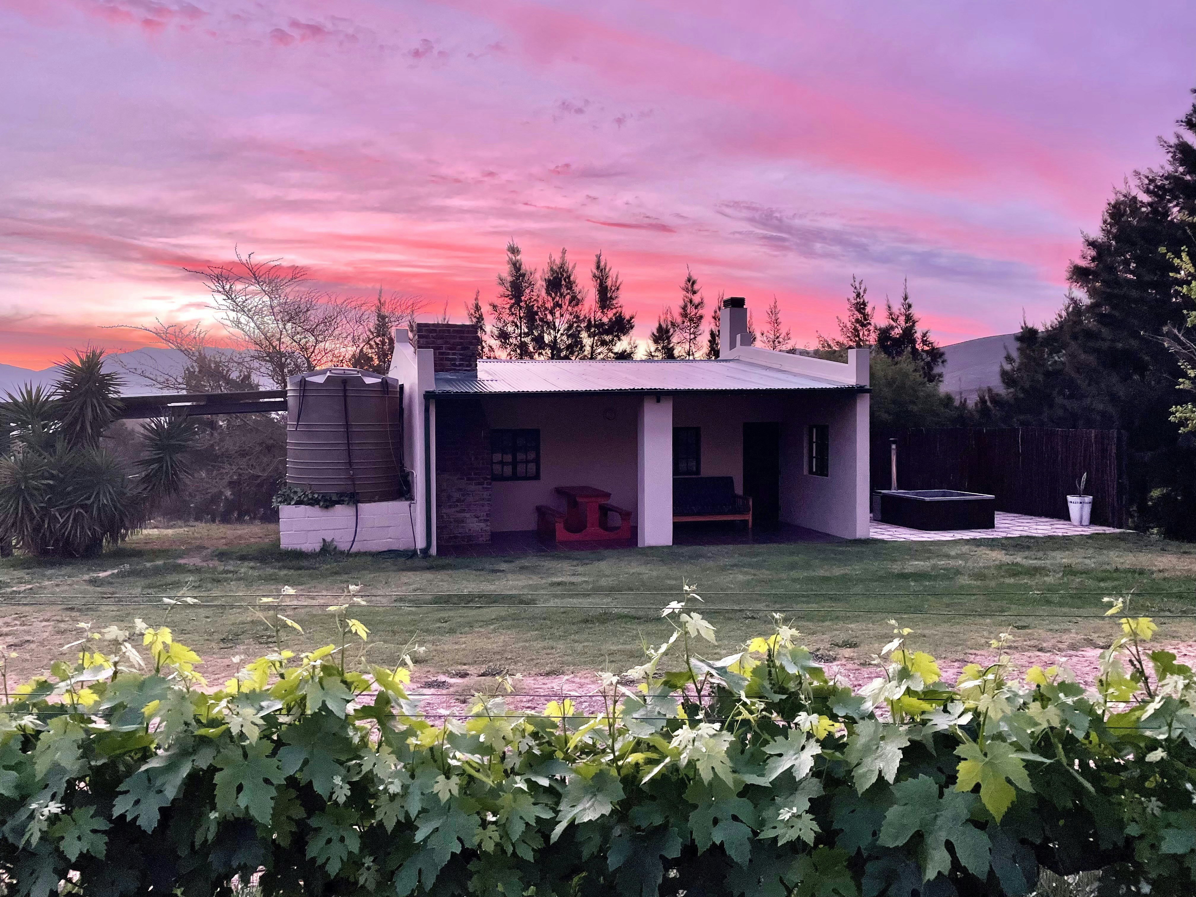 Vergenoegd Farm | LekkeSlaap