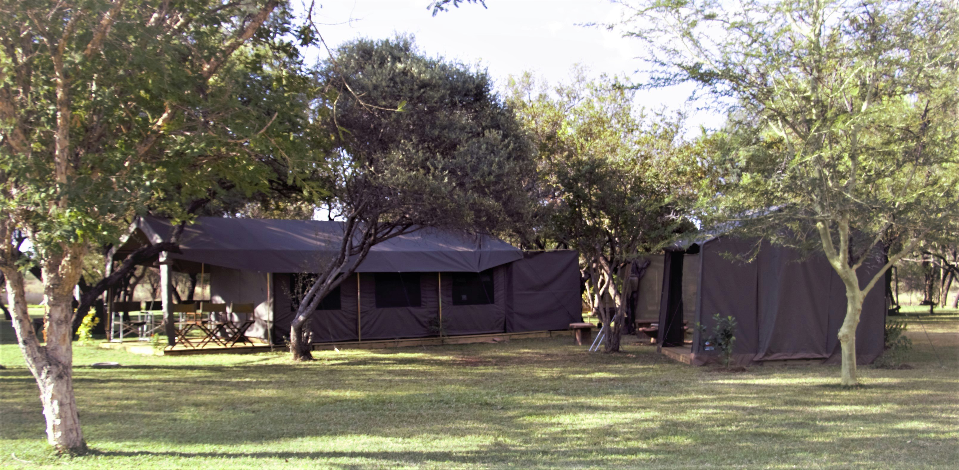 Thorn Tree Bush Camp - Tented Camps and Campsites | Rooms