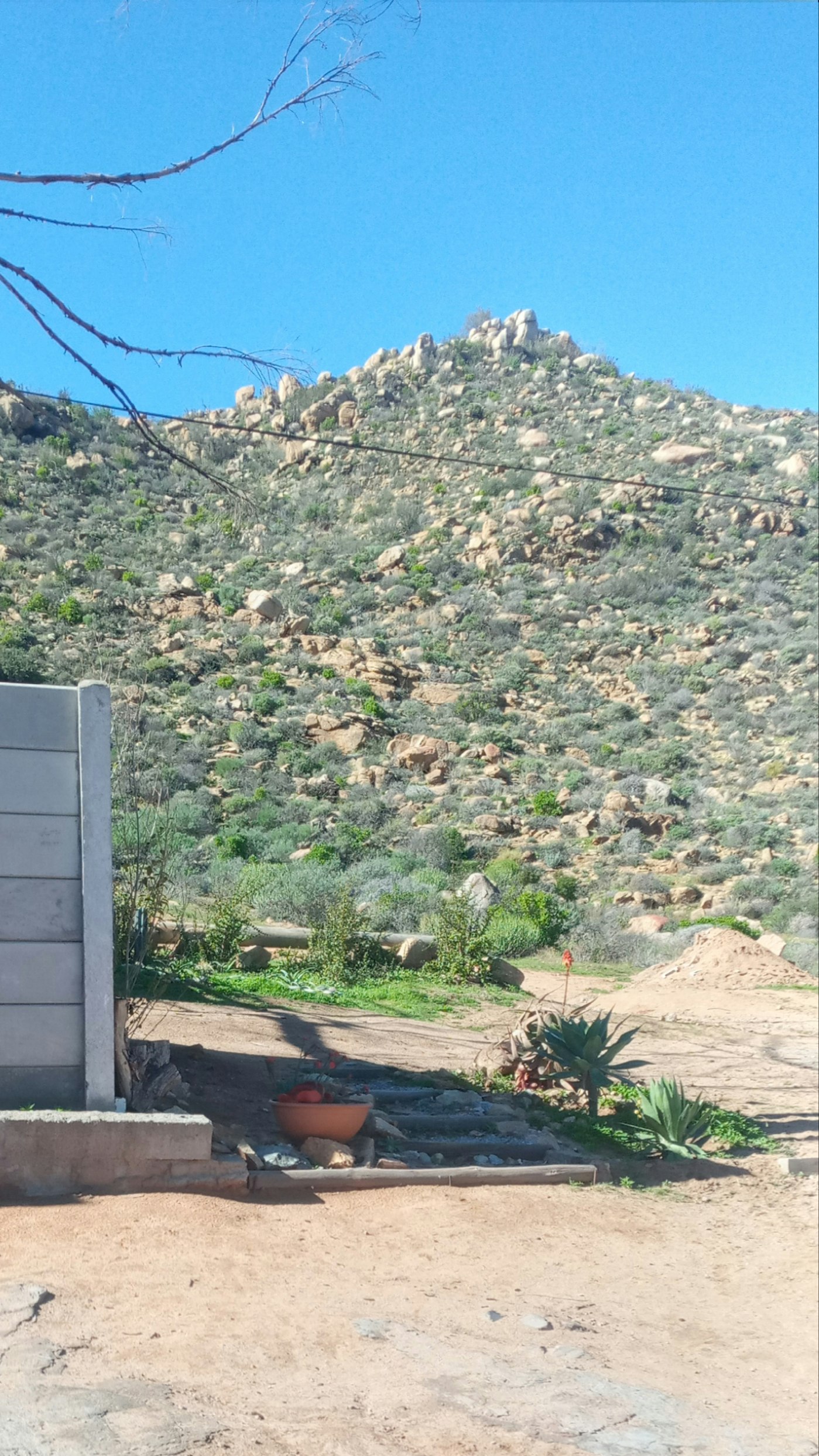 Arendsnest | LekkeSlaap