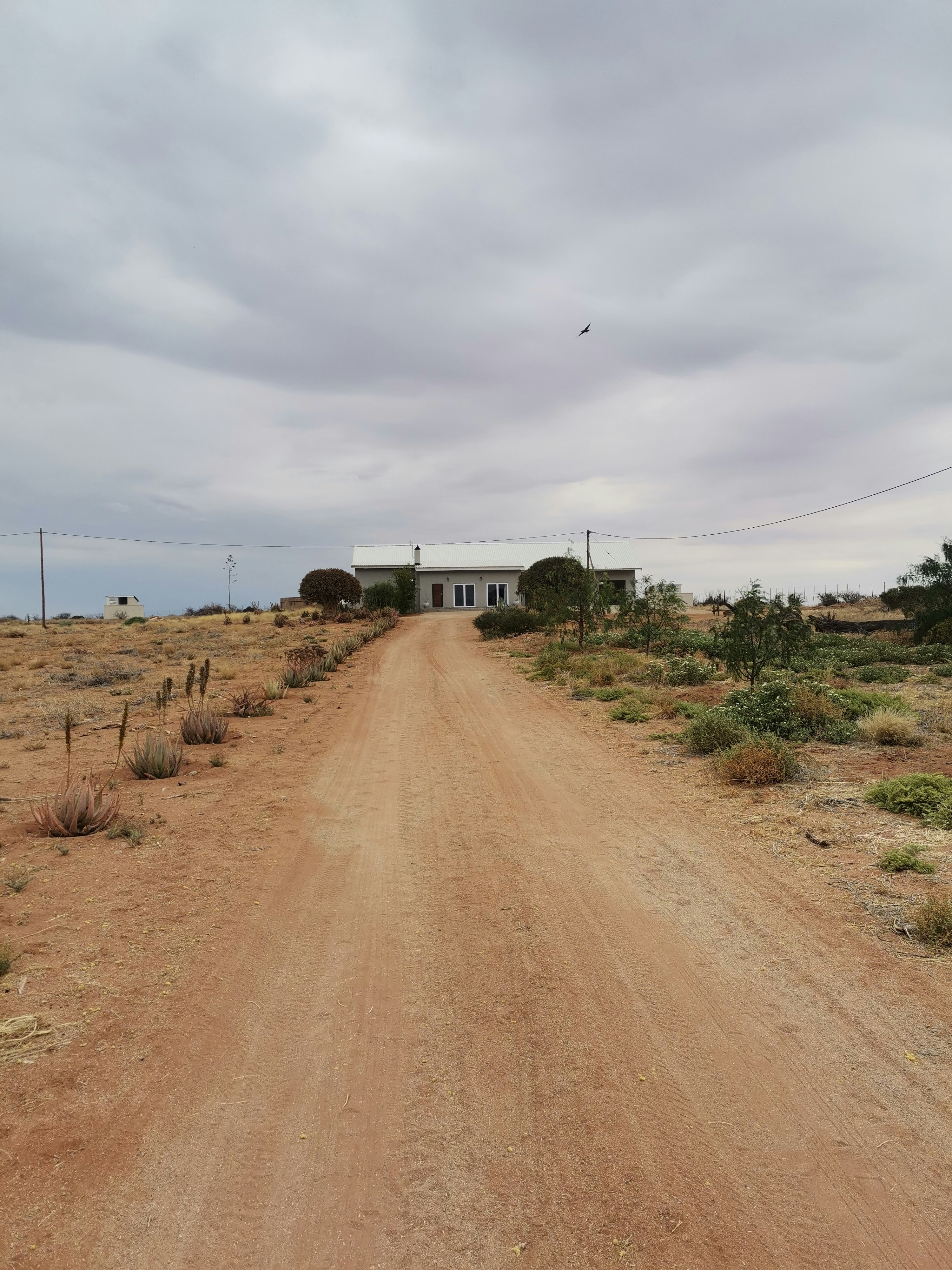 Geelkop Plaashuis | LekkeSlaap